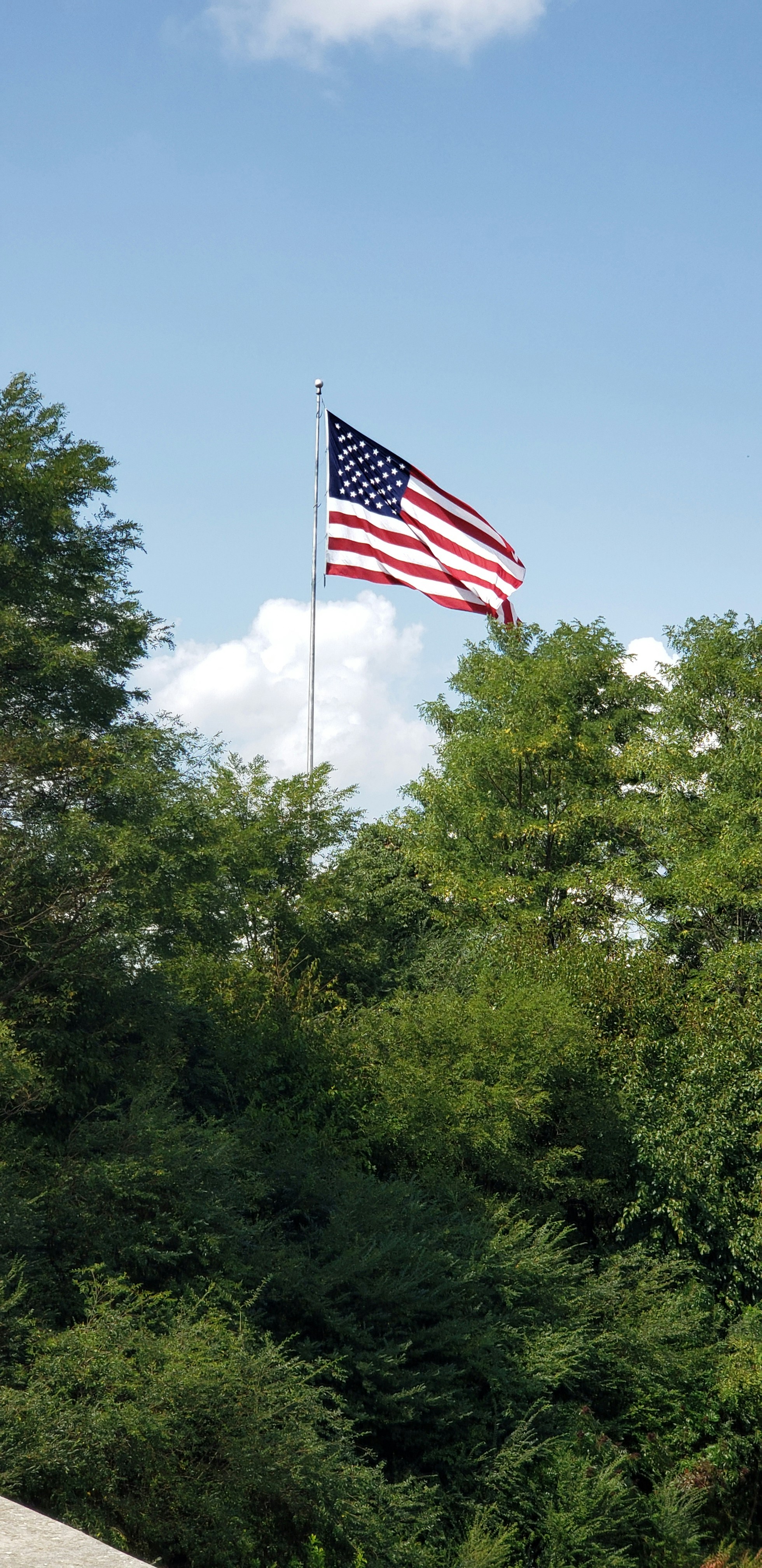 Foto Una bandera en un asta de bandera – Imagen Bandera gratis en Unsplash