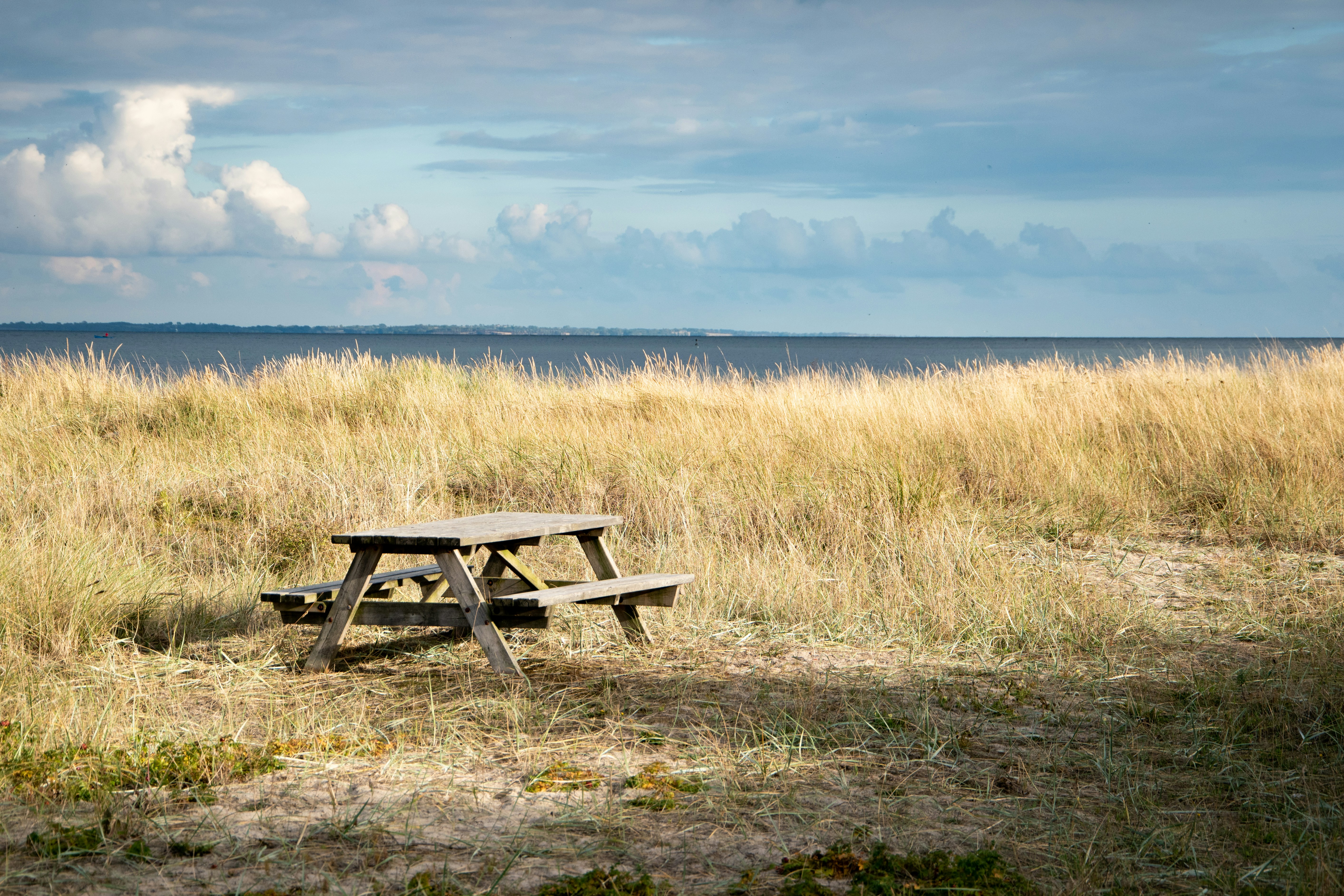 Lone Picnic Table at the Dune Edge Beside a Calm Sea