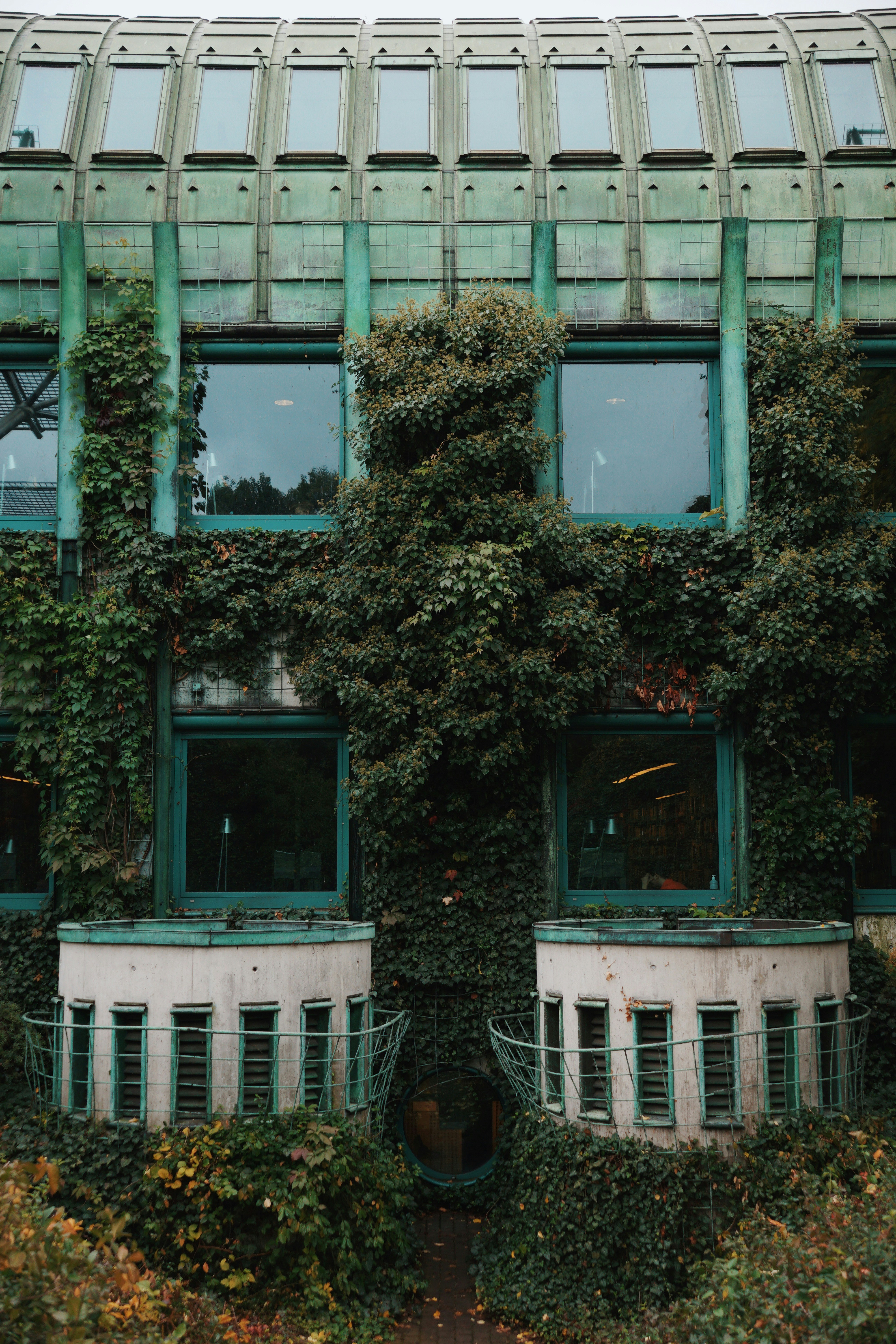 Verdant Grid: Ivy-Clad Facade Framing Green-Tinted Windows