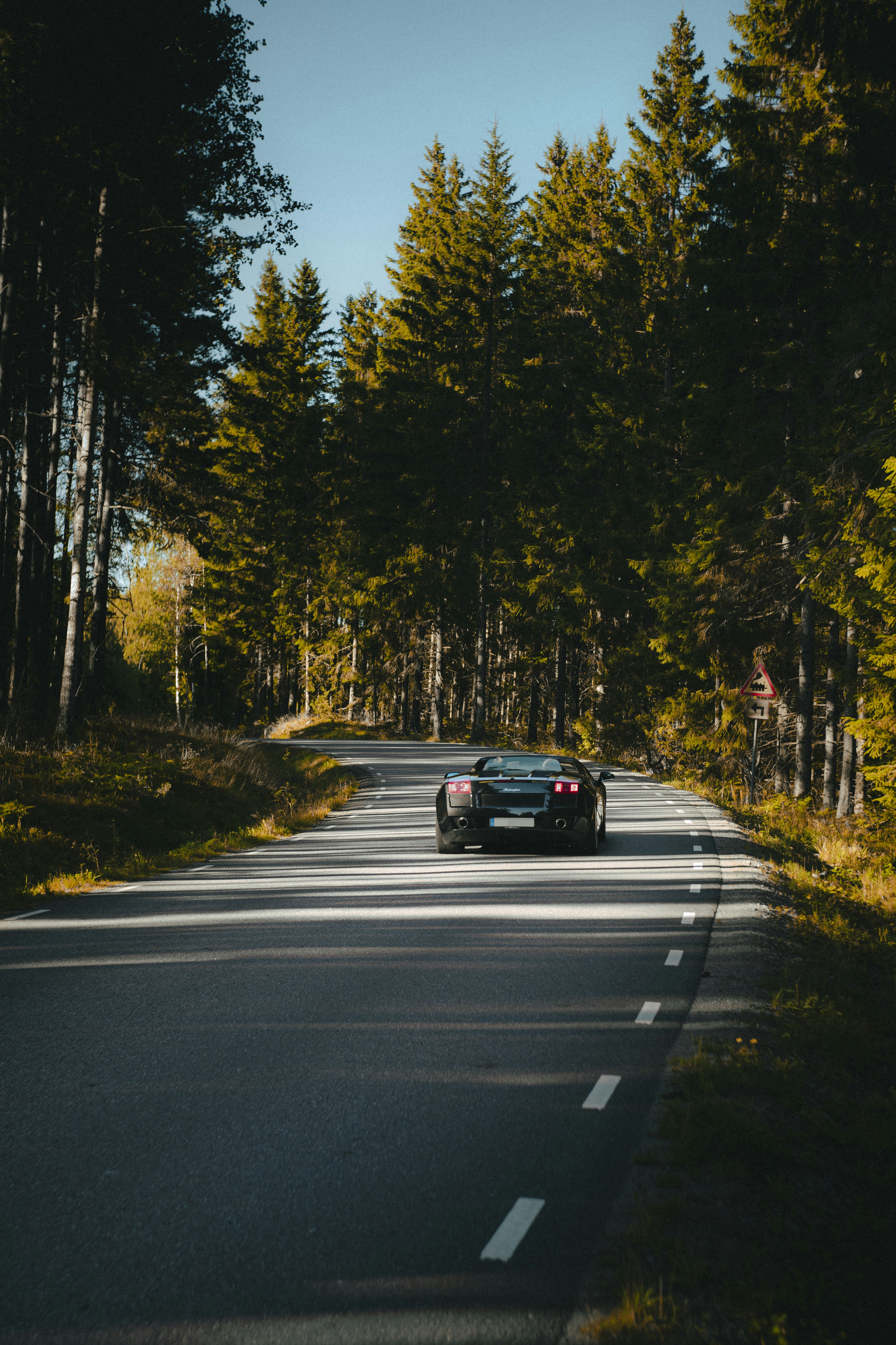 Photo by Paul Lichtblau with Sony Alpha 7 II