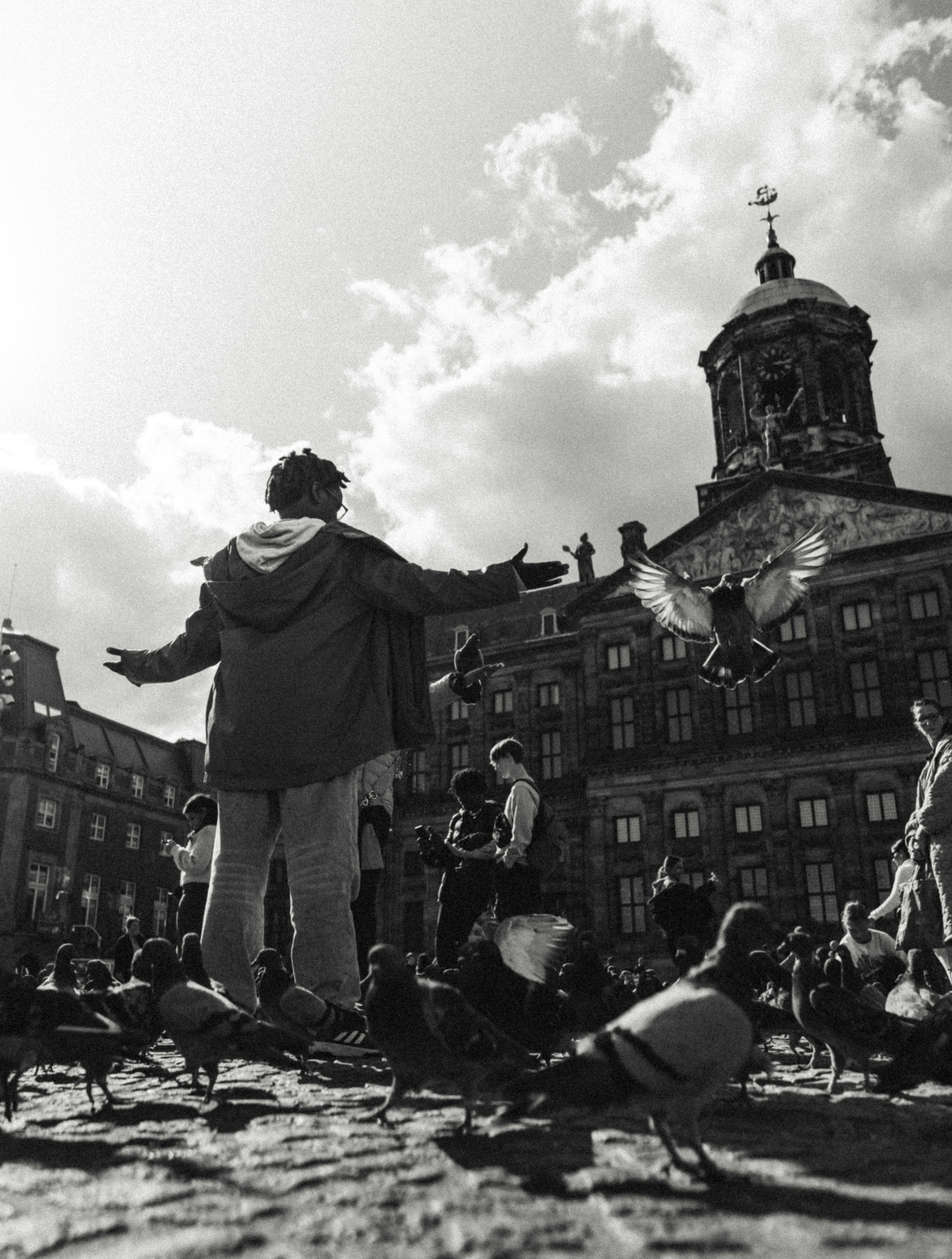 a man feeding pigeons
