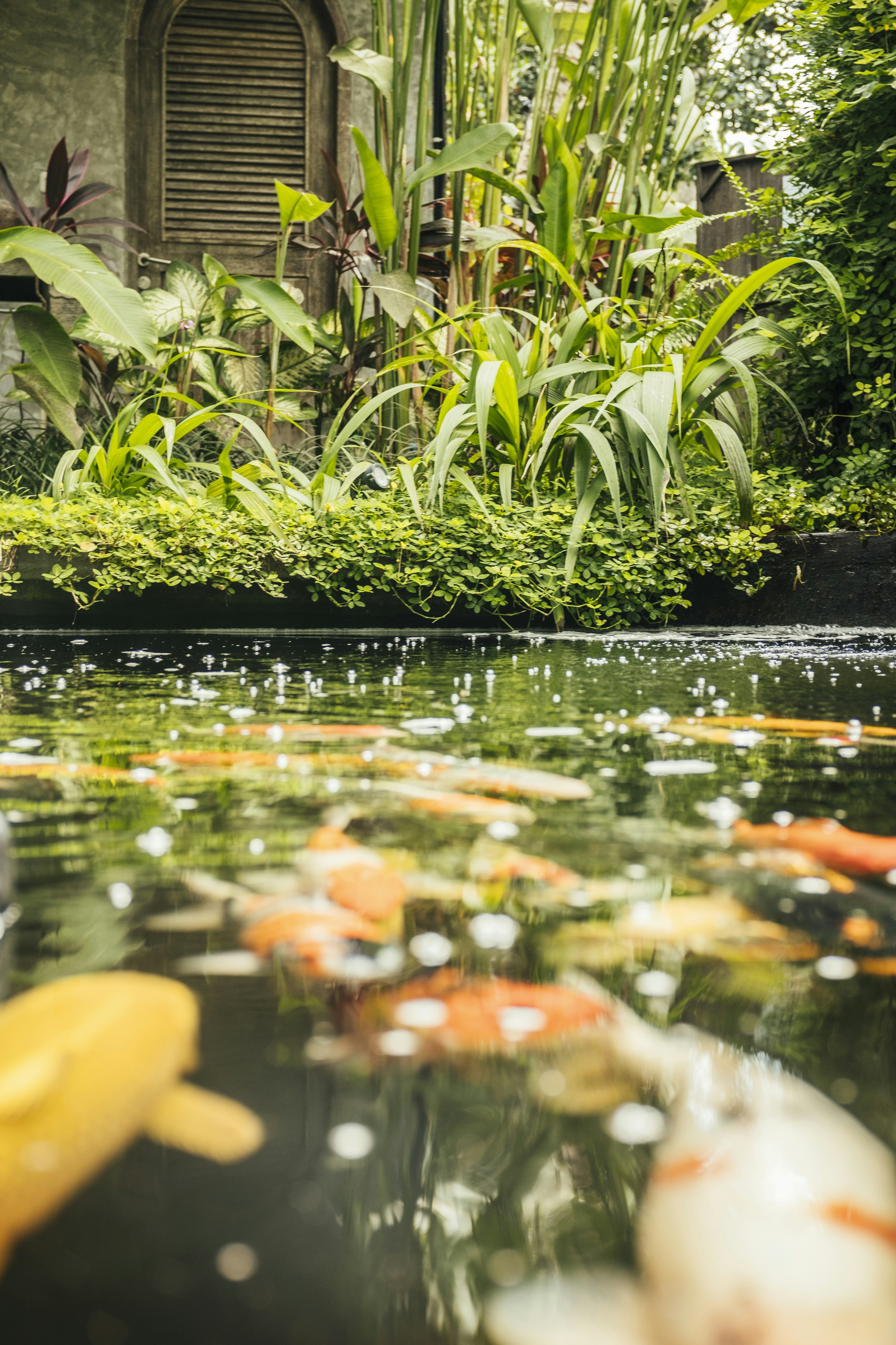 Photo by Bernard Hermant with Fujifilm X100F