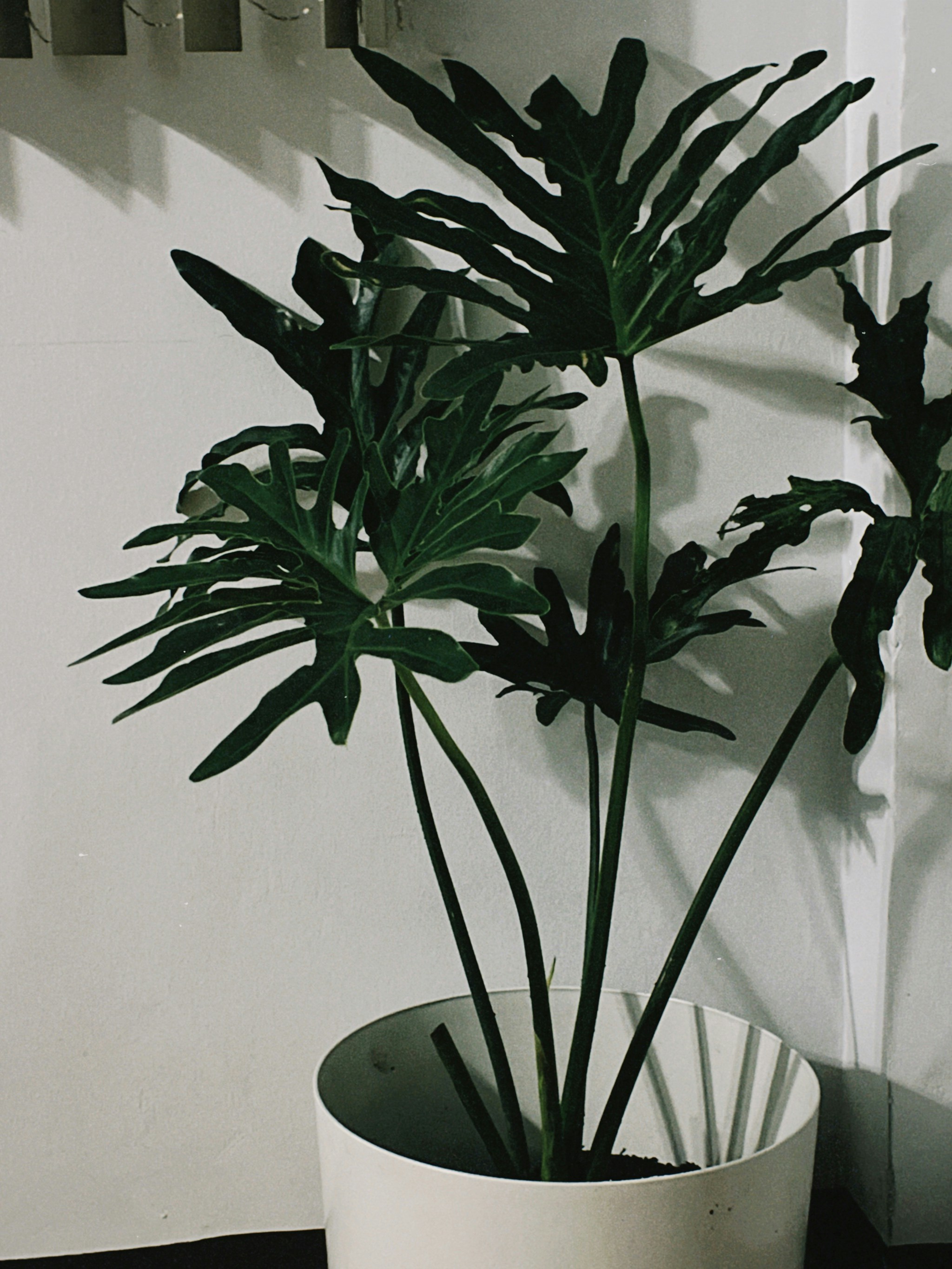 Photo by Merry Rose with Apple iPhone 13 Pro Max