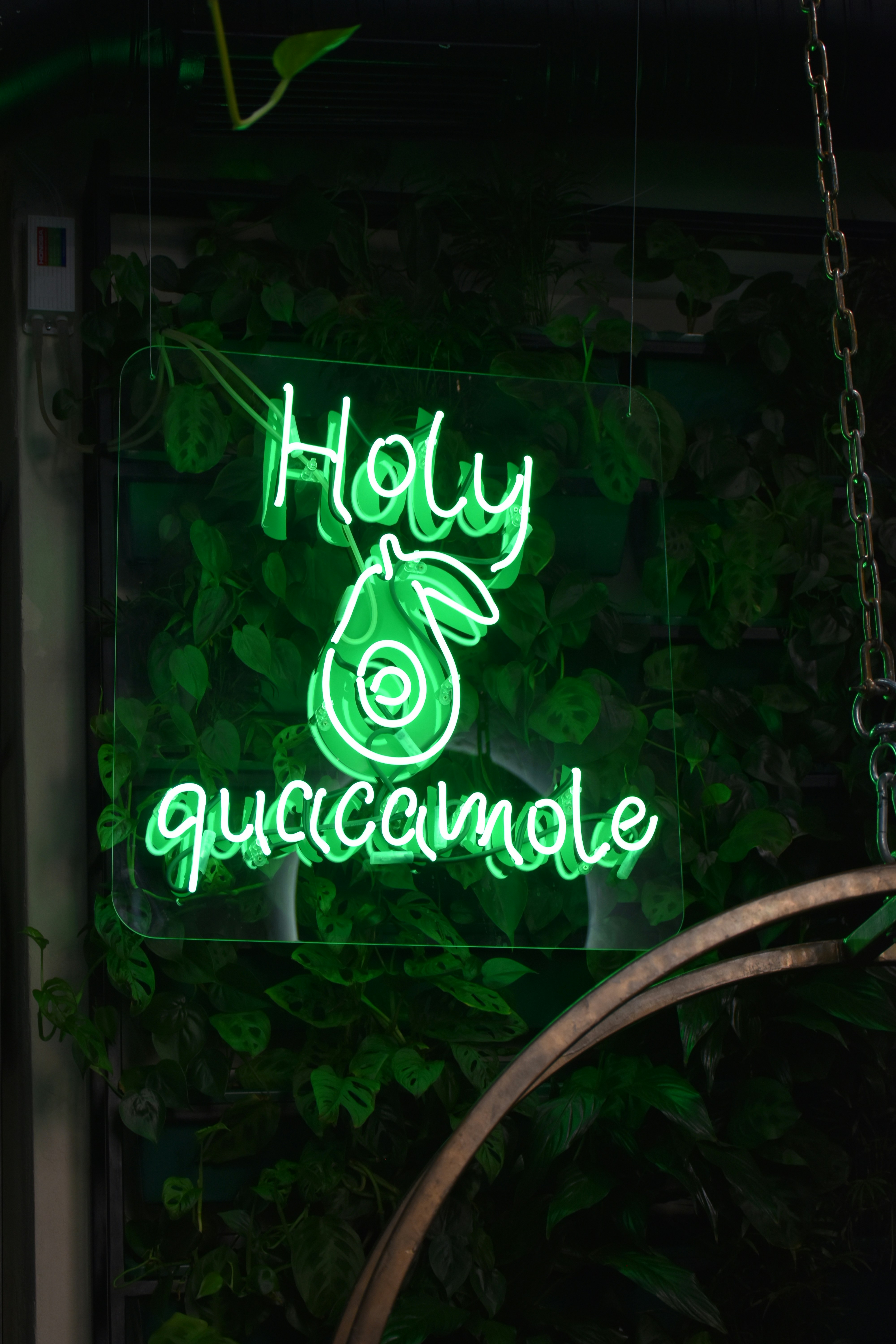 Neon Holy Guacamole: An Avocado-Themed Sign Amid Jungle Foliage