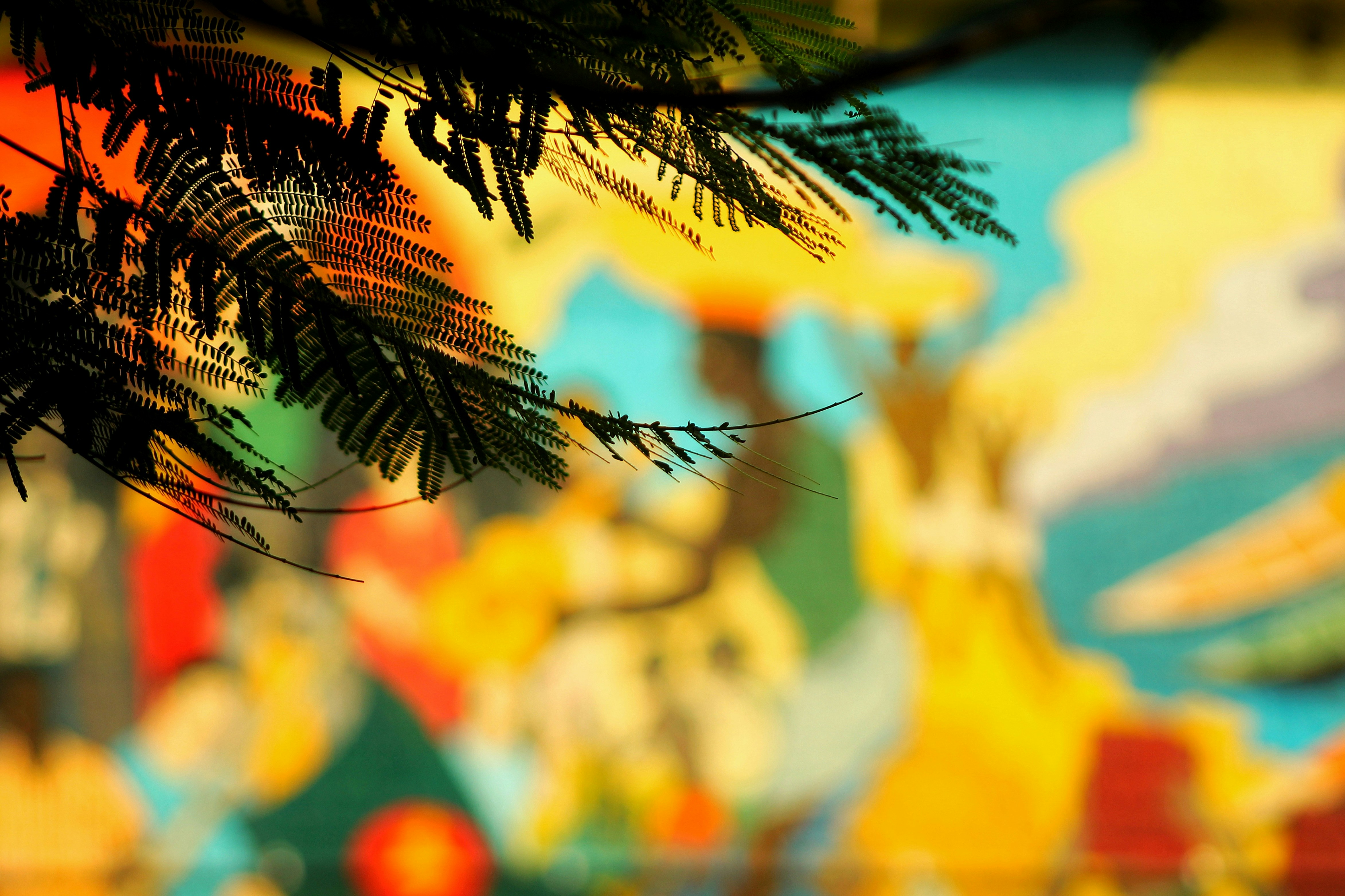 Shadowed Fern Above a Blur of Colorful Murals