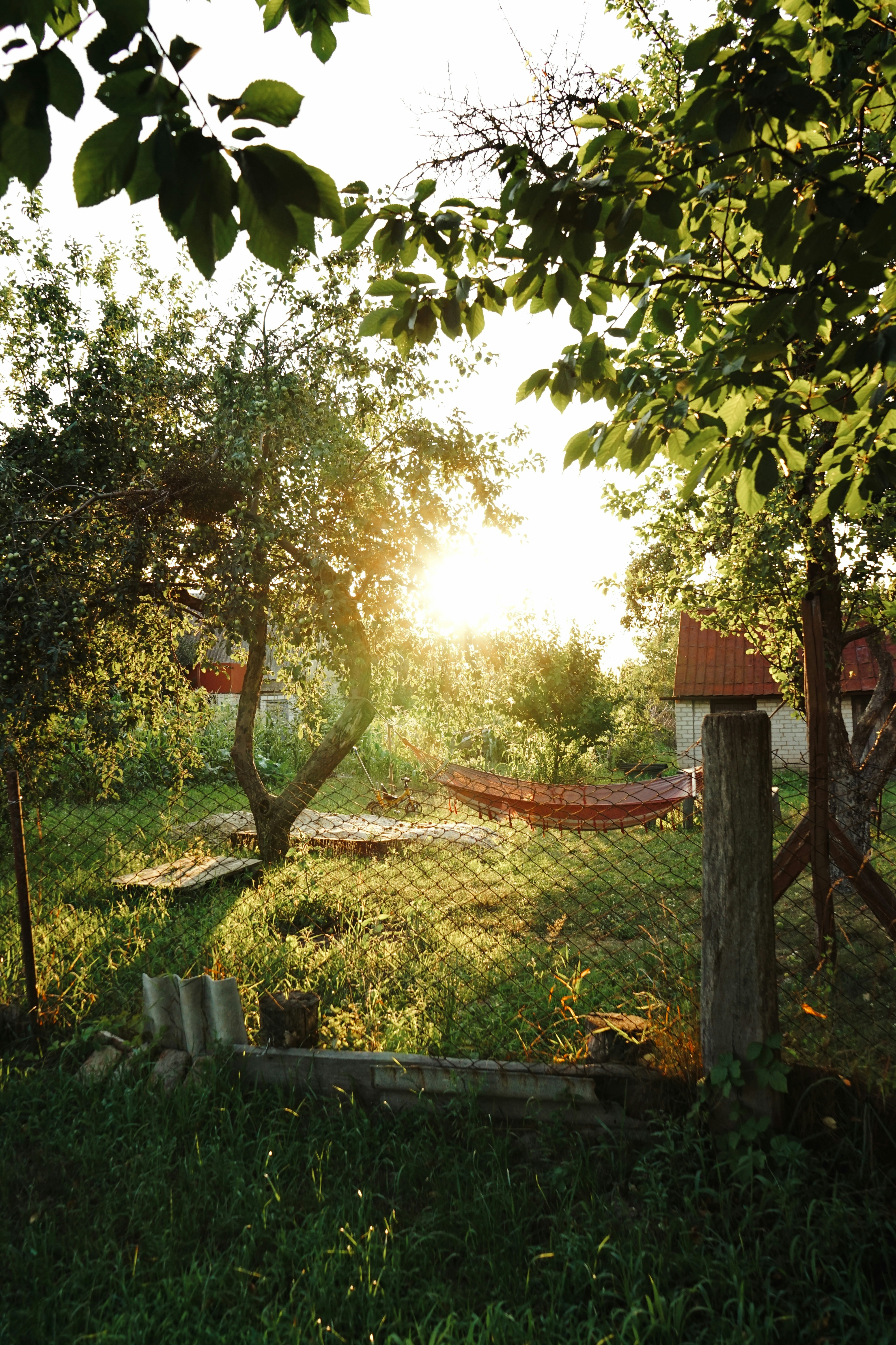 A fence and trees photo – Free Furniture Image on Unsplash