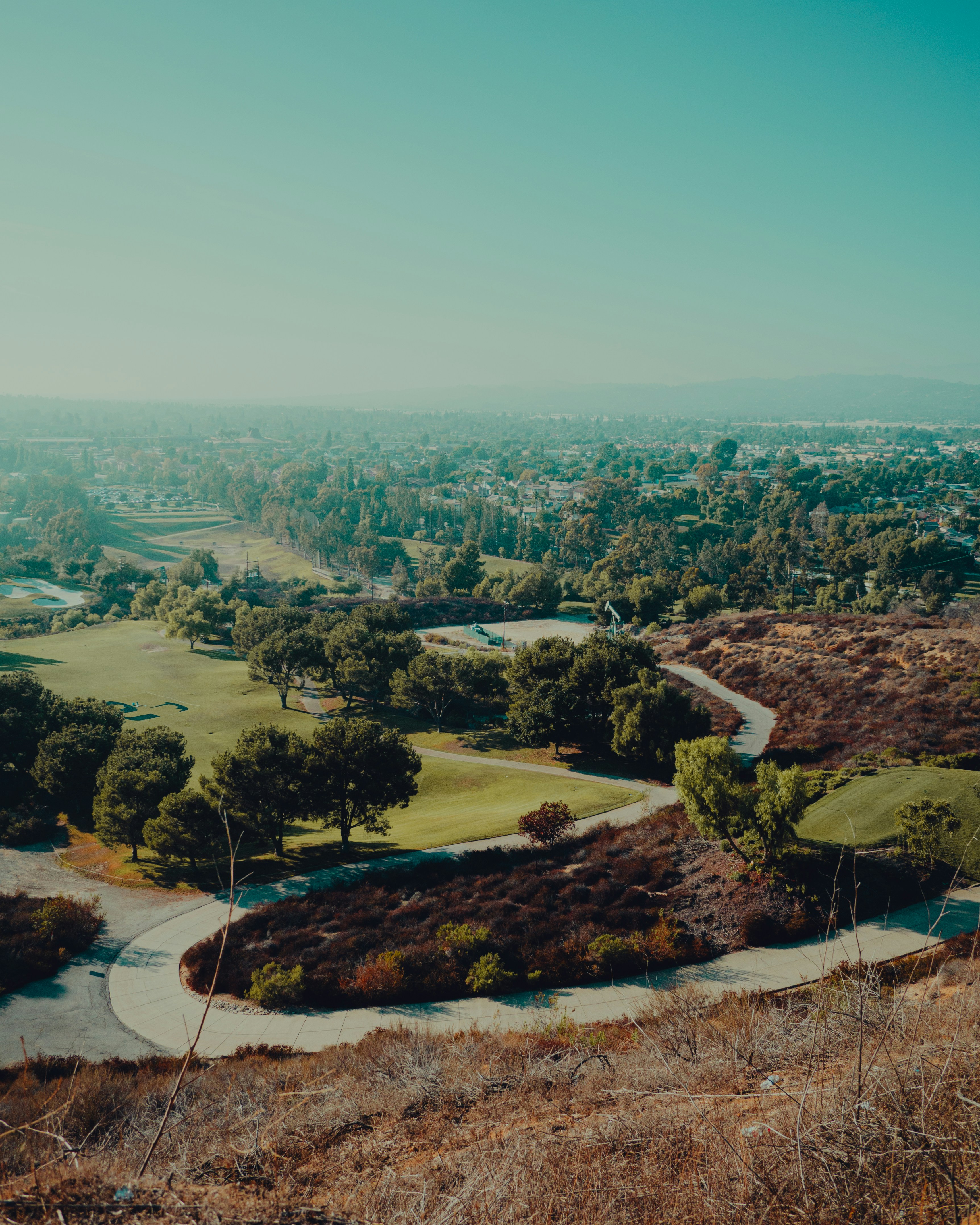 A landscape with trees and grass photo – Free Grey Image on Unsplash