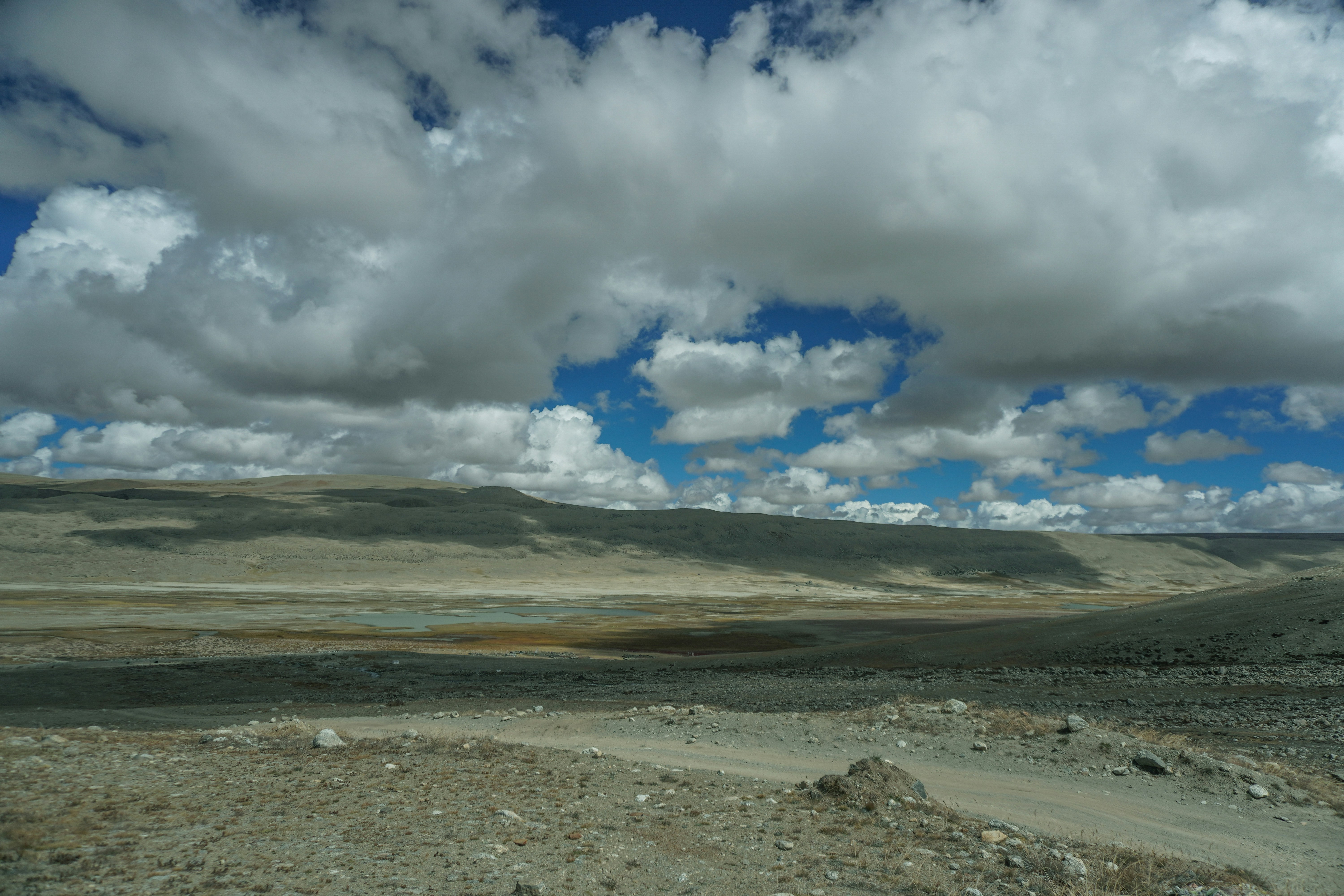 Whispers of the High Desert