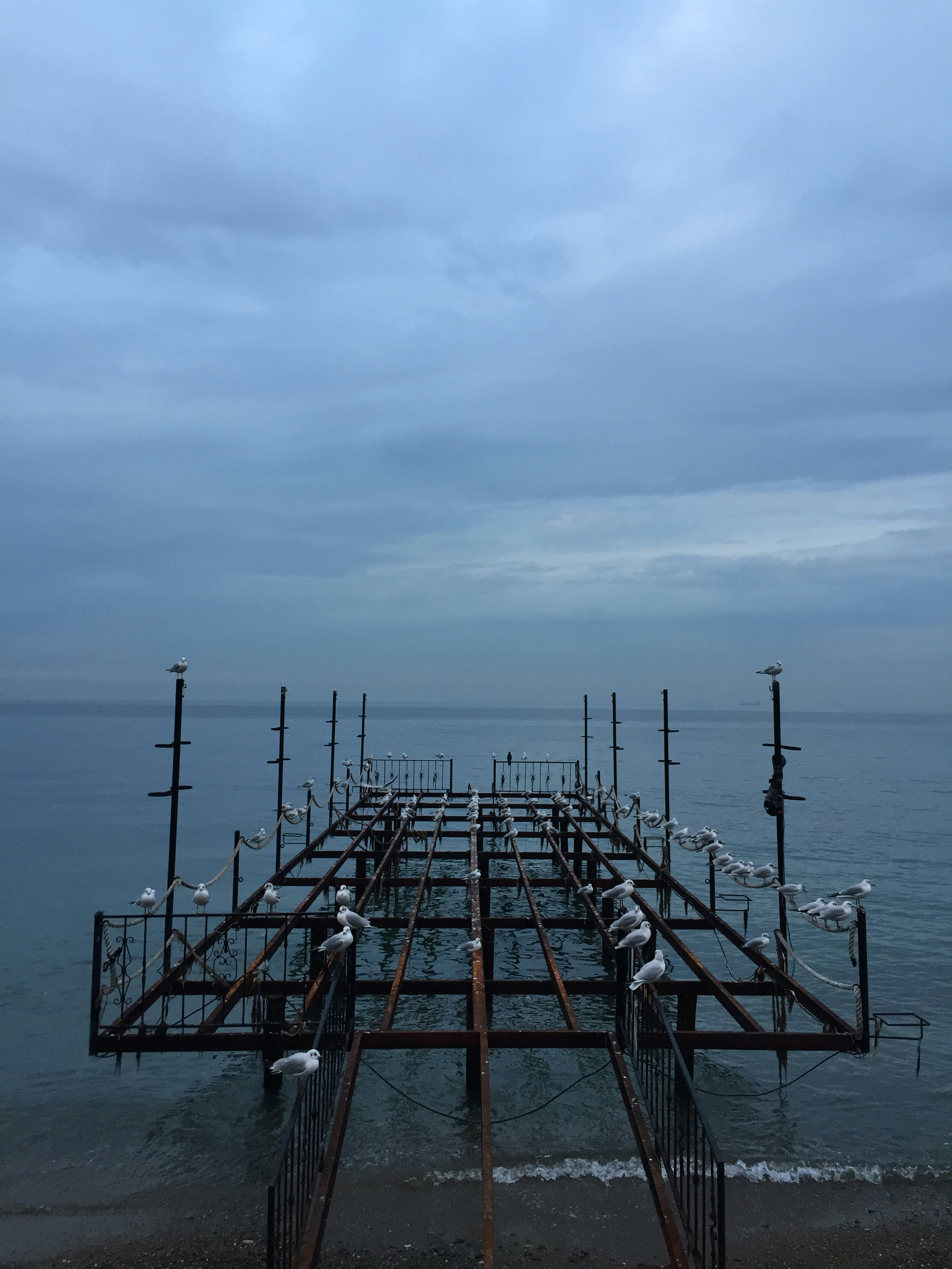 Un quai avec de nombreux poteaux et un oiseau dessus photo – Photo ...