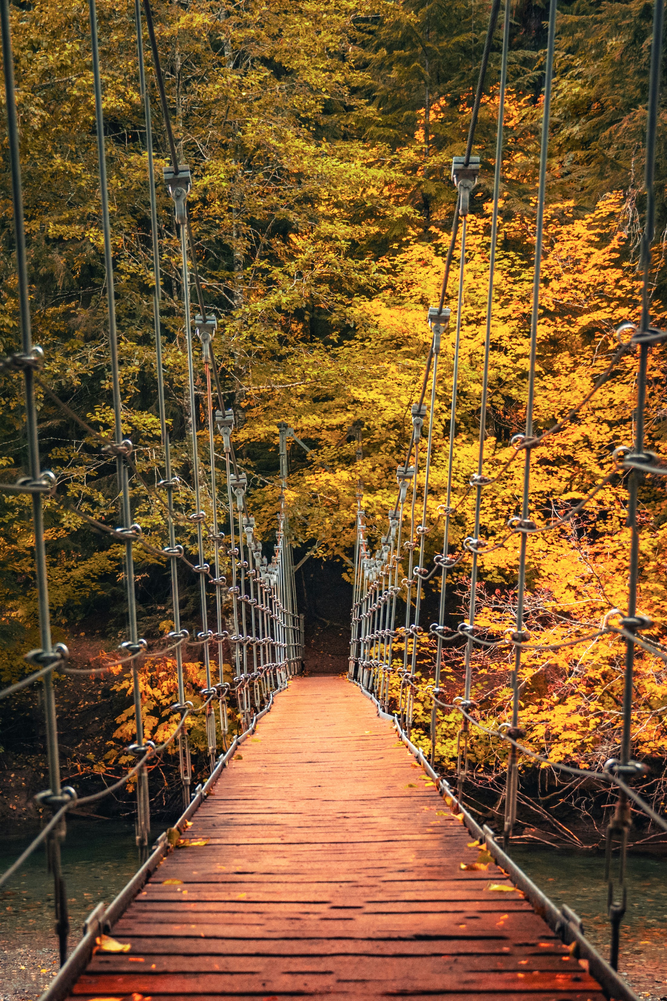 Photo by C with Sony Alpha 7 II