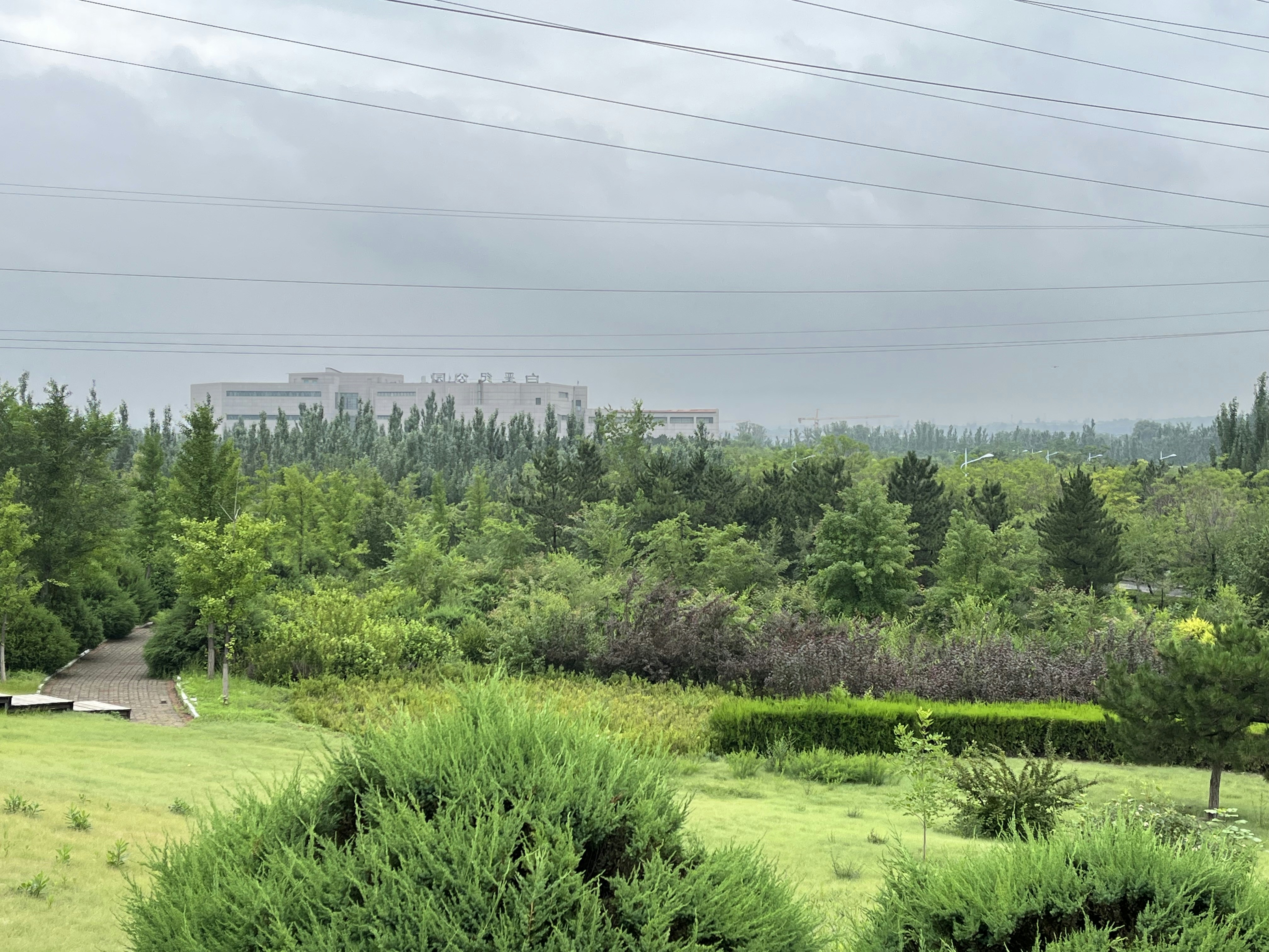 Distant skyline peeks through the park's emerald canopy
