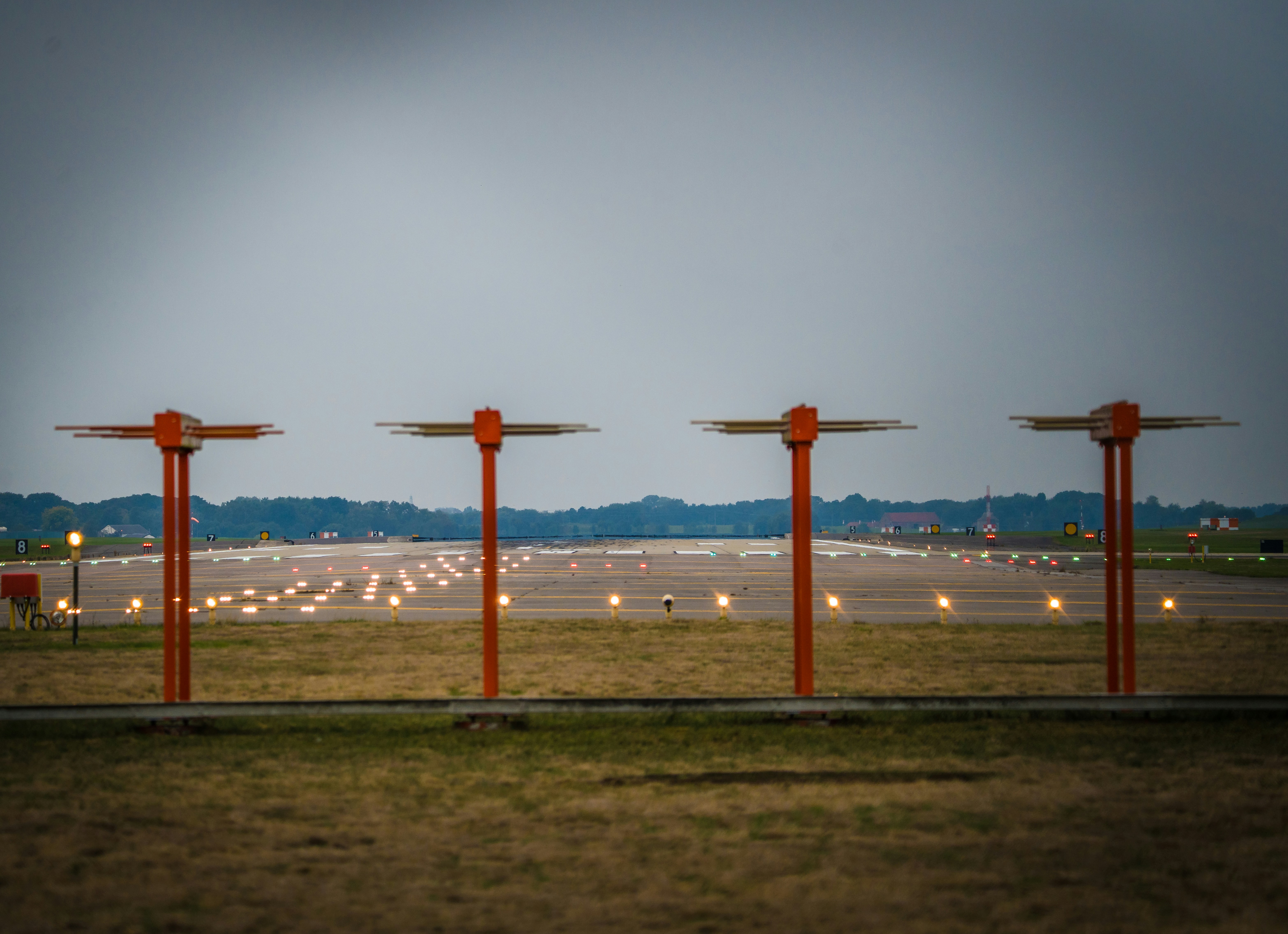 a group of crosses in a field
