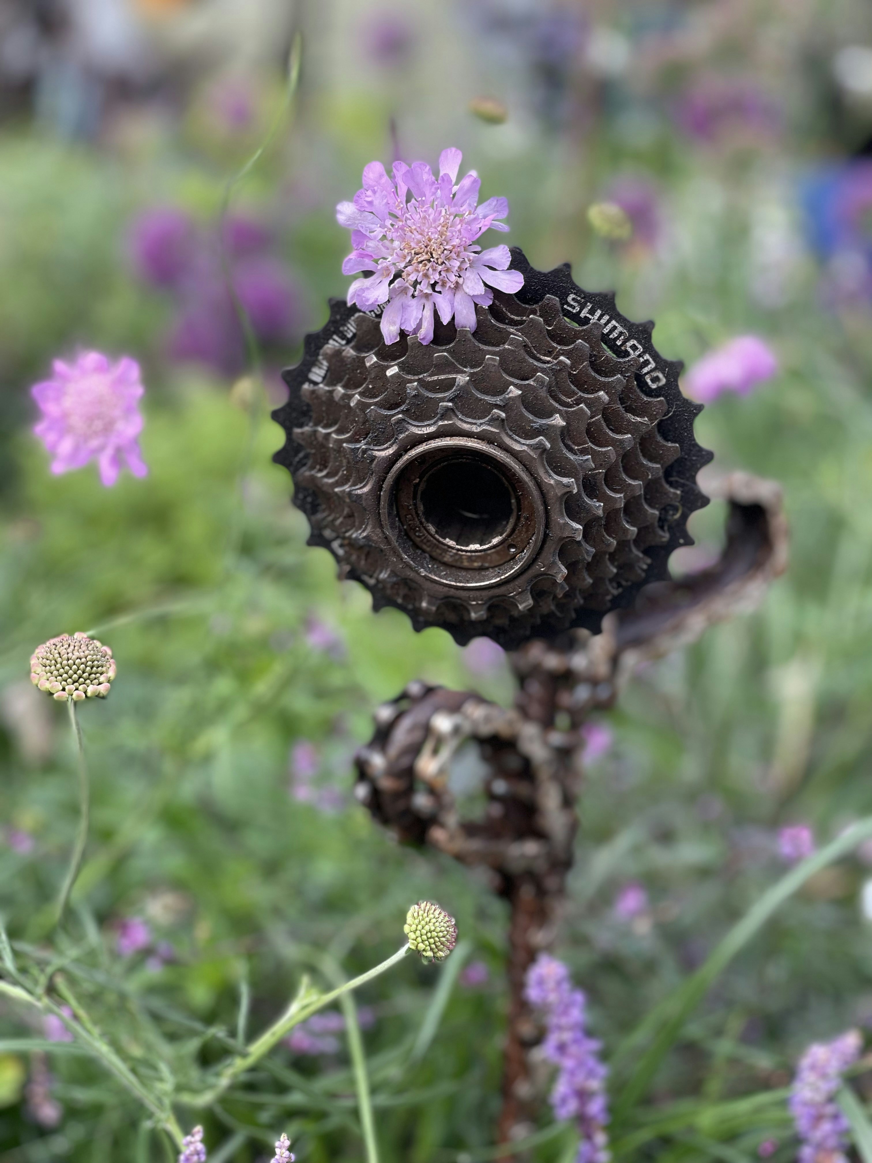 Lilac Crown on a Rusted Cog: A Meadow Portrait
