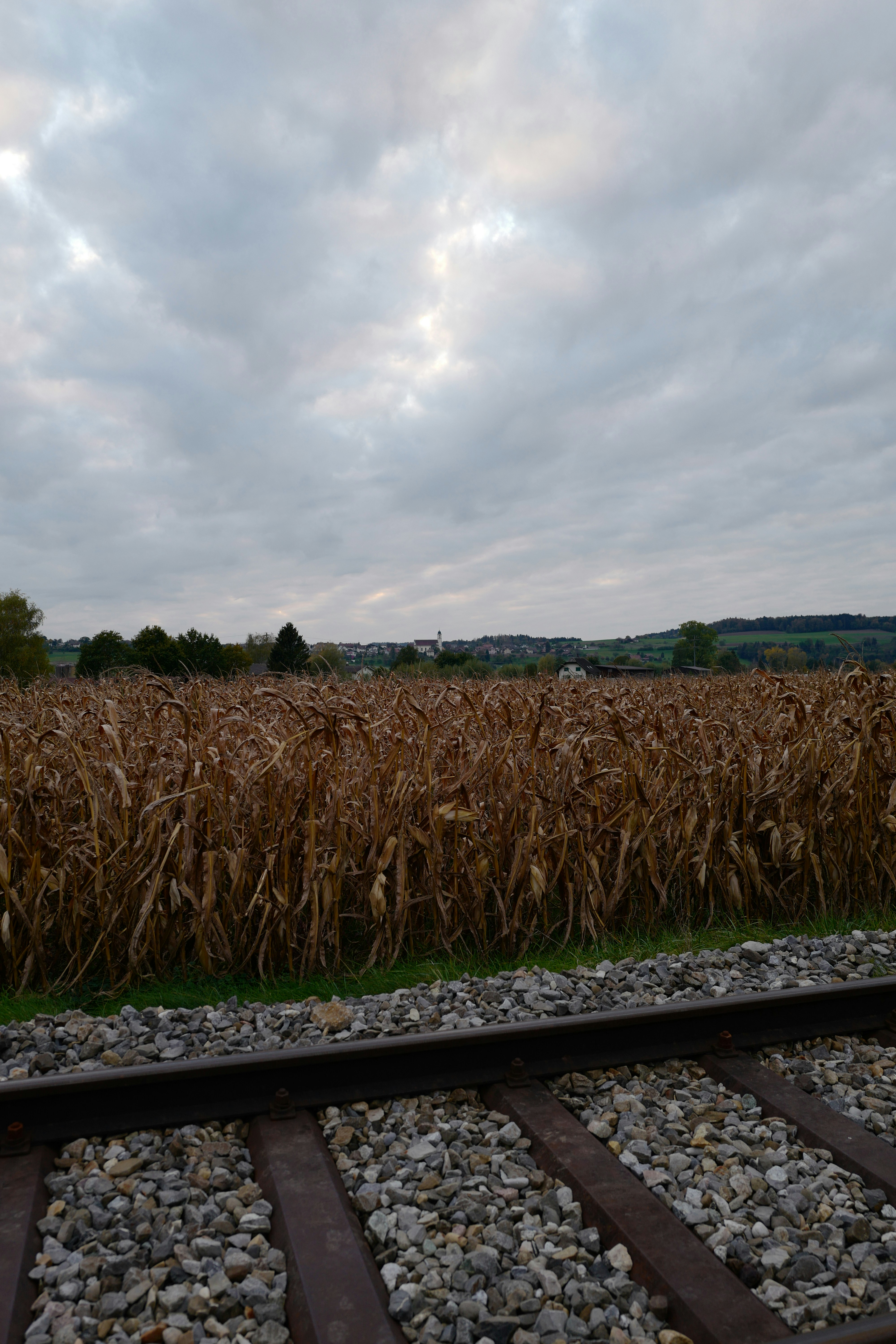 Horizon Rails: A Quiet Harvest Under Cloudy Skies