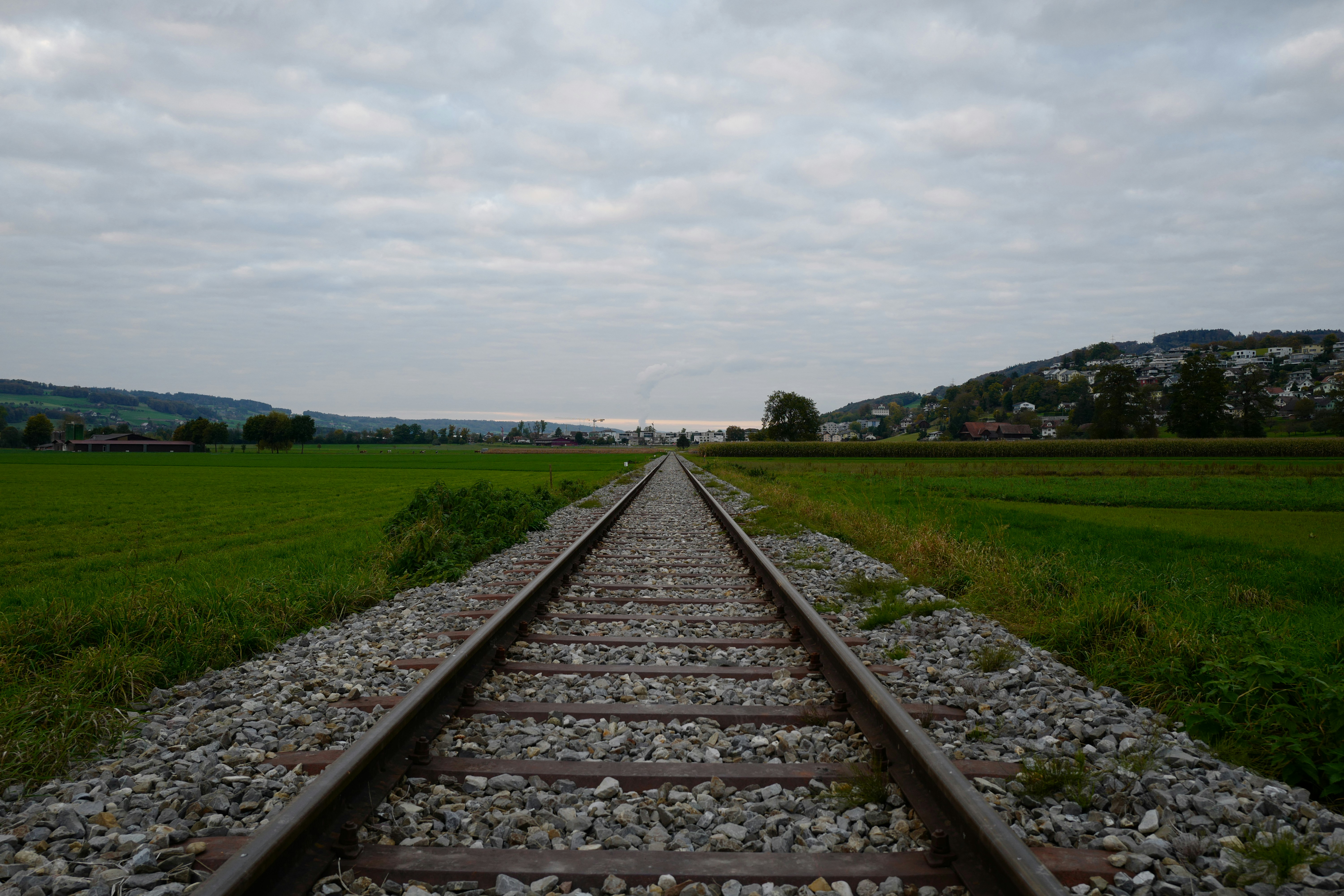 A railroad track with grass and trees photo – Free Grey Image on Unsplash