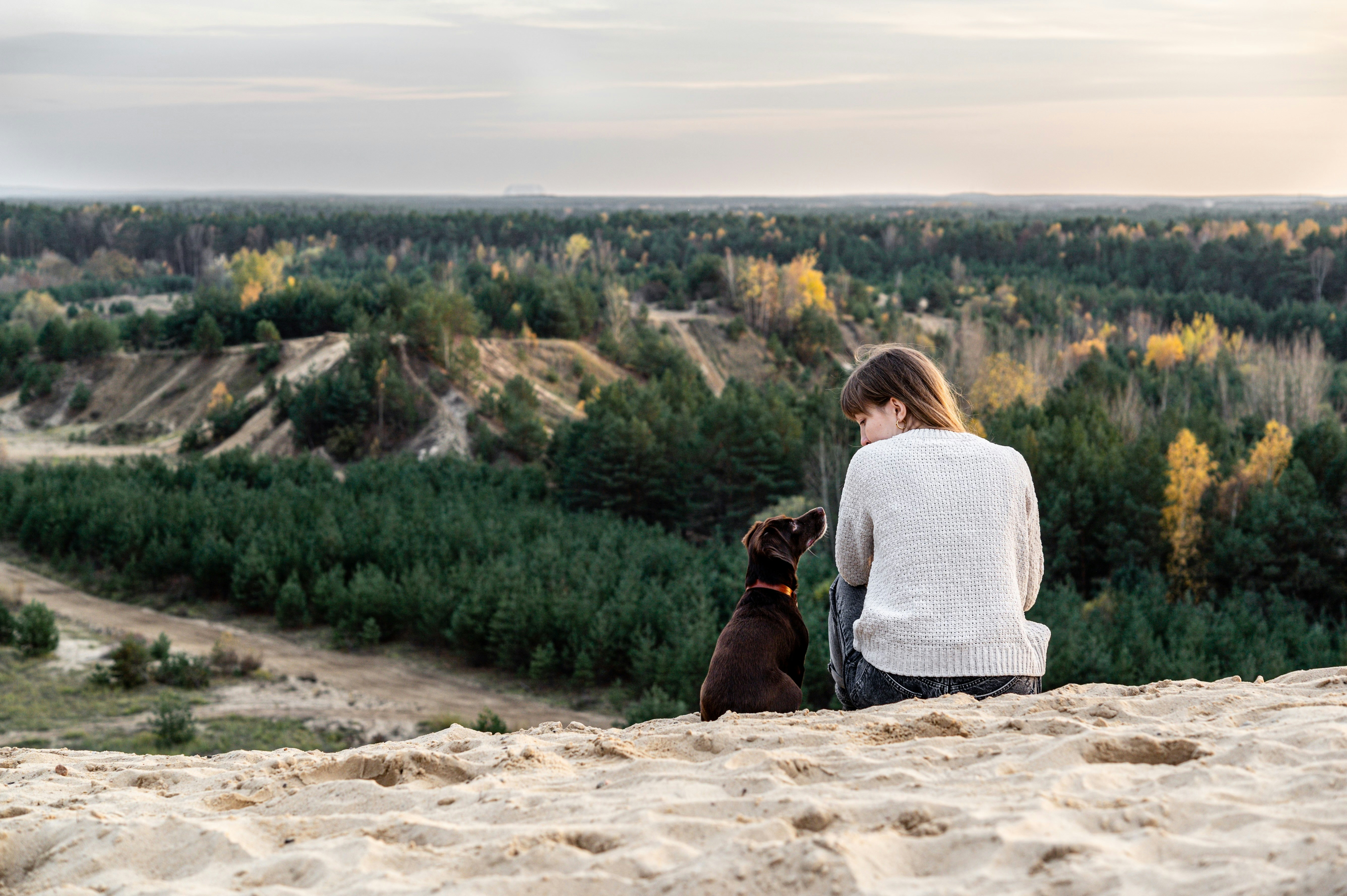 Living in Harmony with your pet. | a person and a dog sitting on a hill overlooking a city