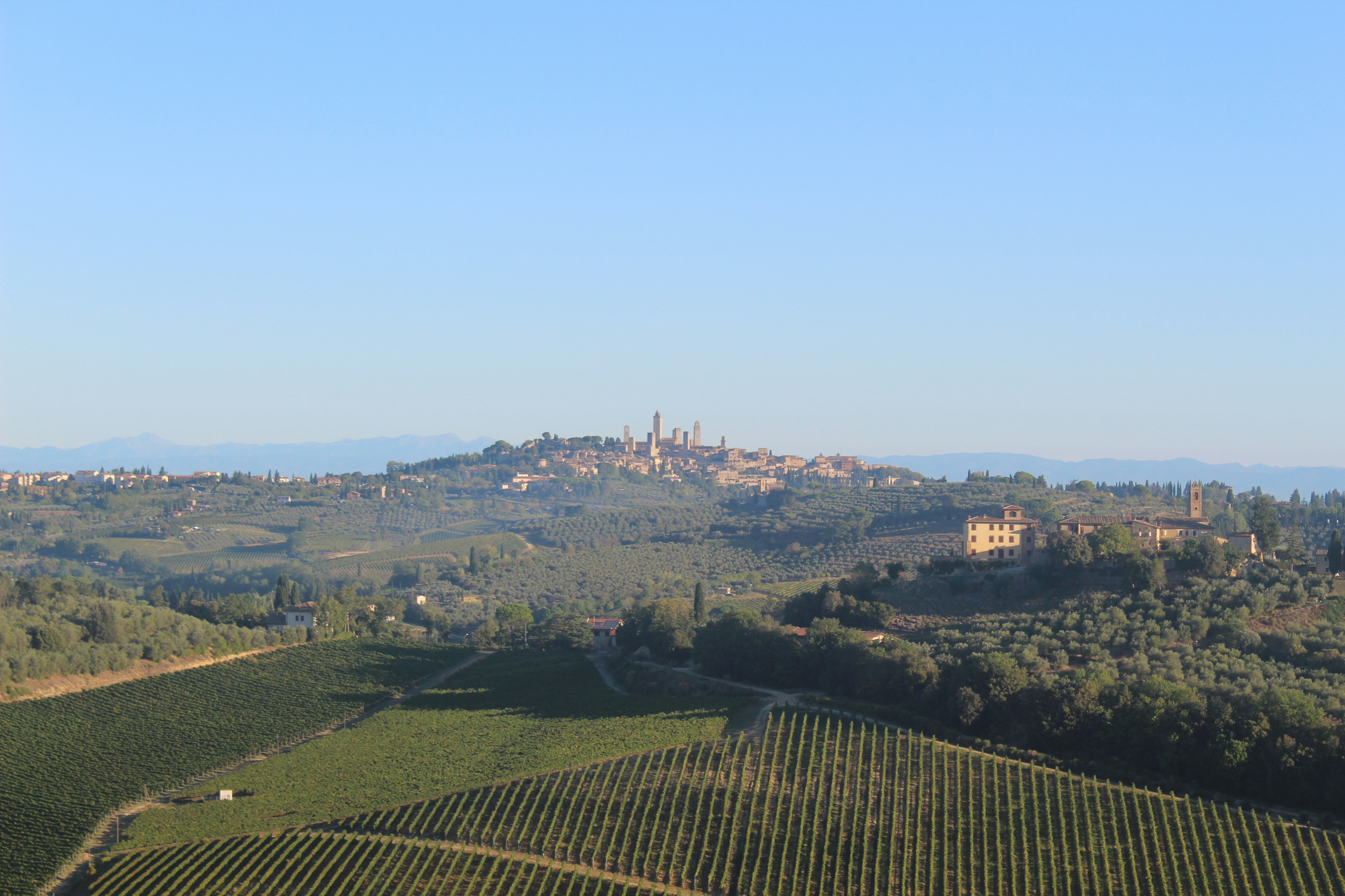 Rolling Vineyards Leading to an Ancient Hilltop Village