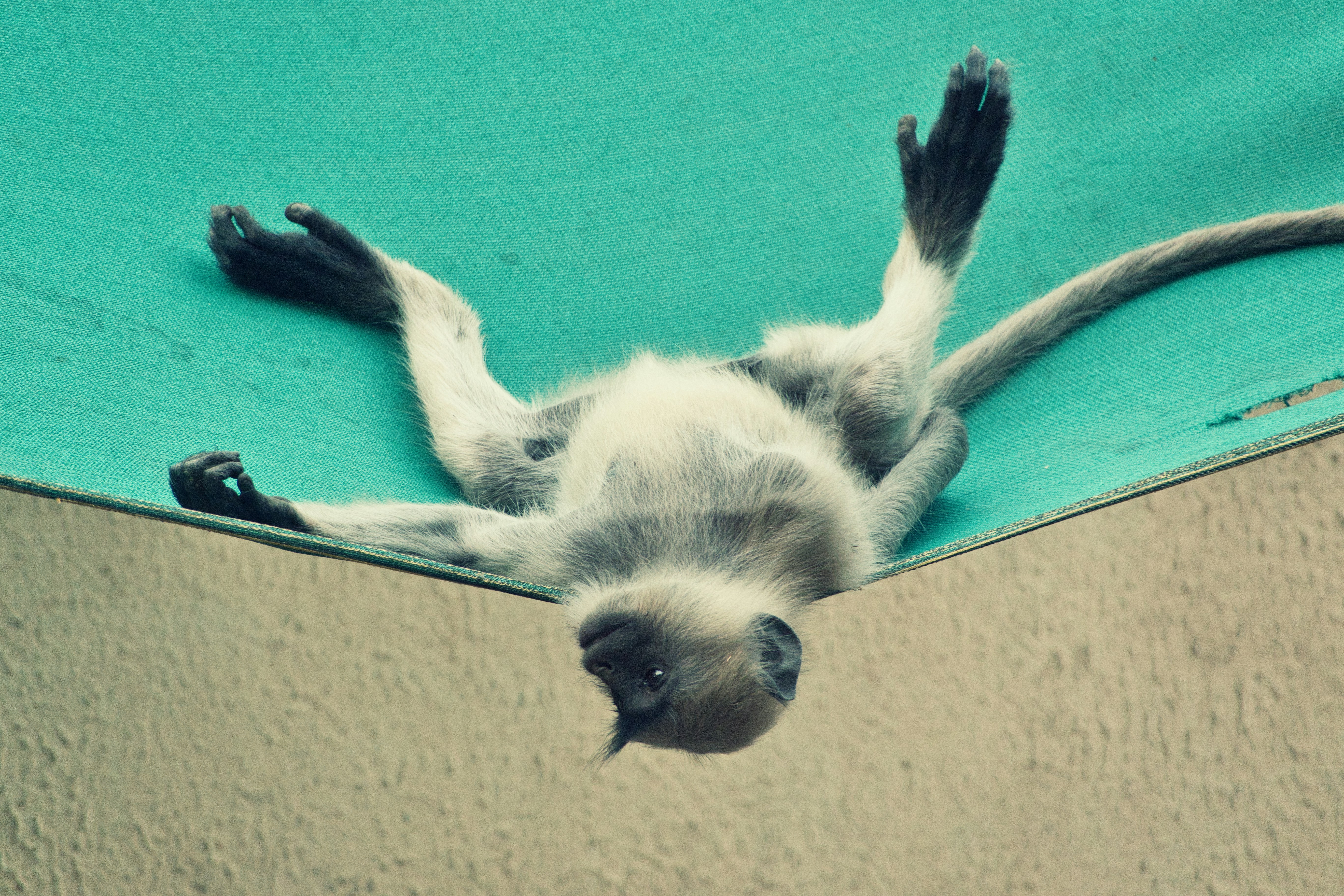 rest time do not disturb