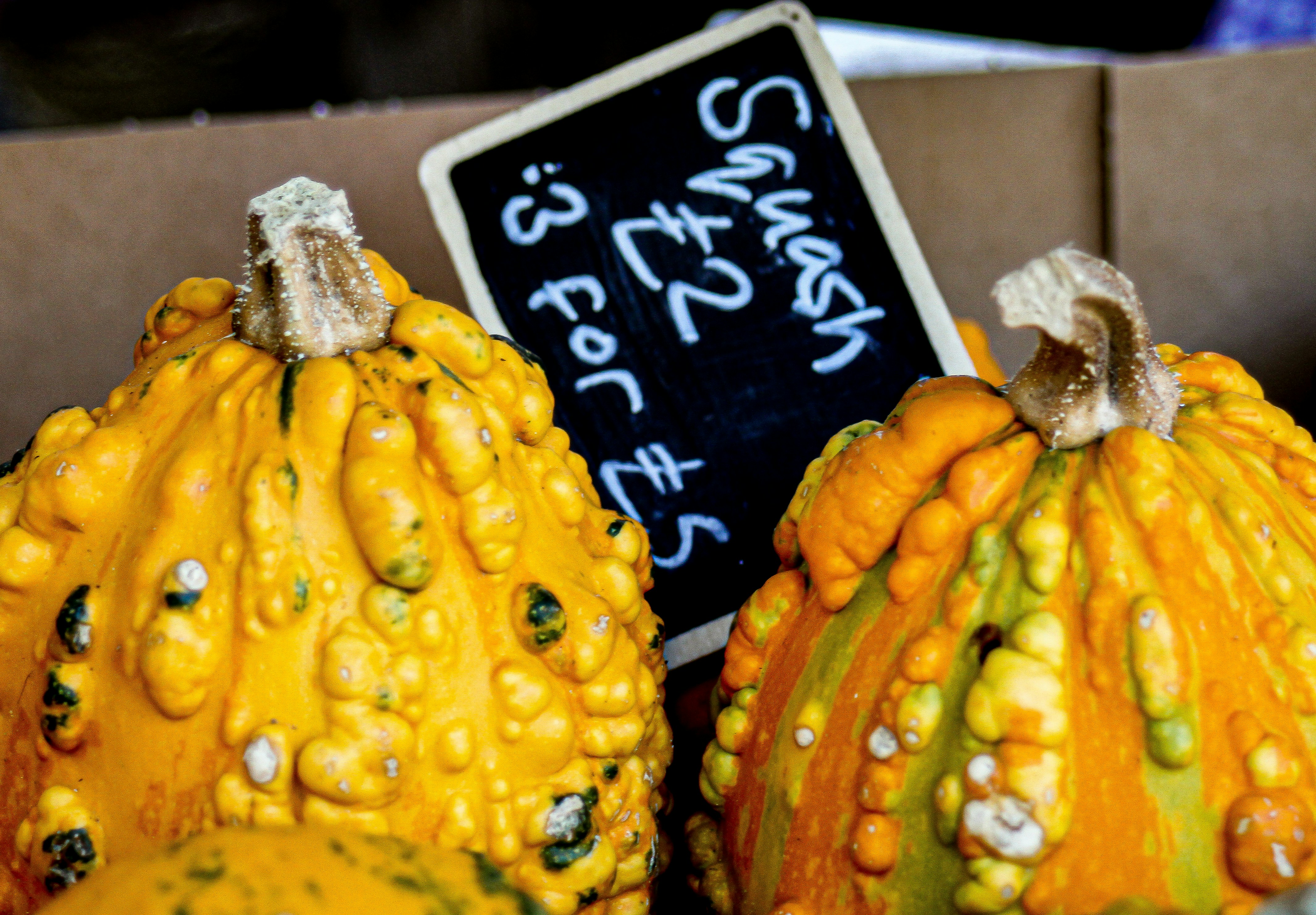Golden Greet: Two Ornamental Gourds with Chalkboard Sign