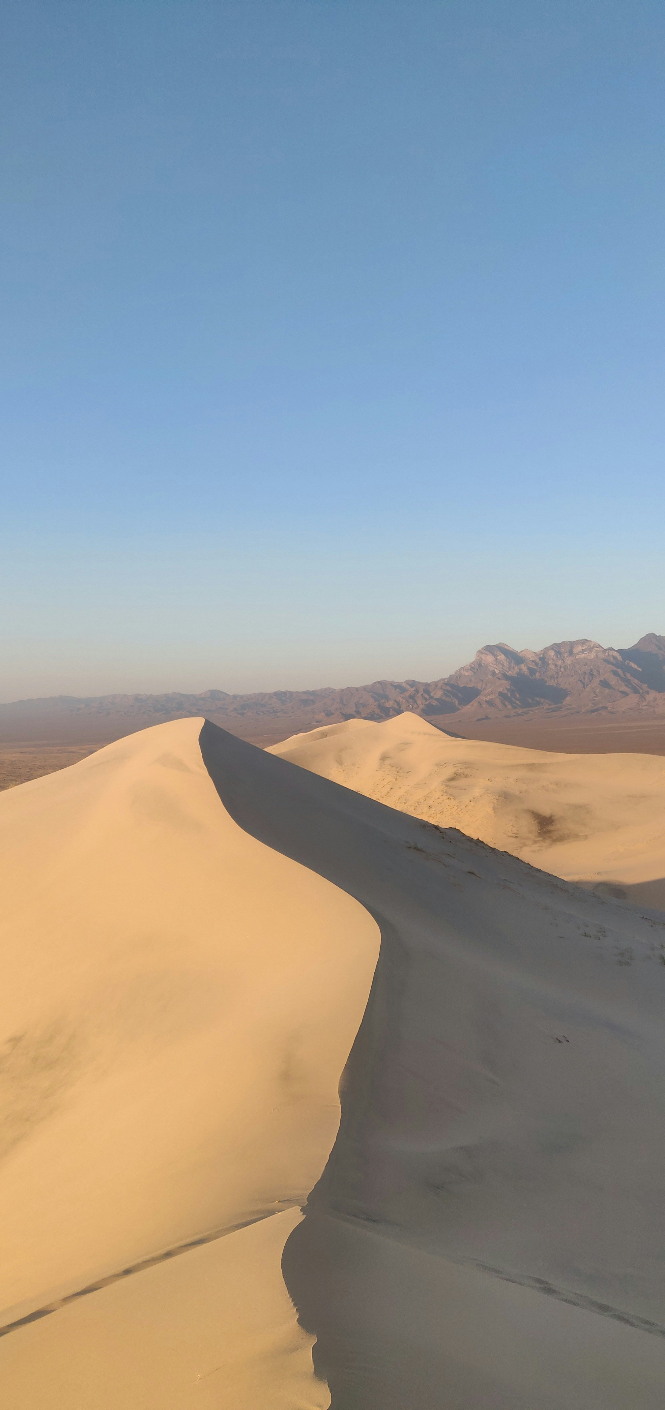 Sunset on the dunes in the Mojave desert - vertical