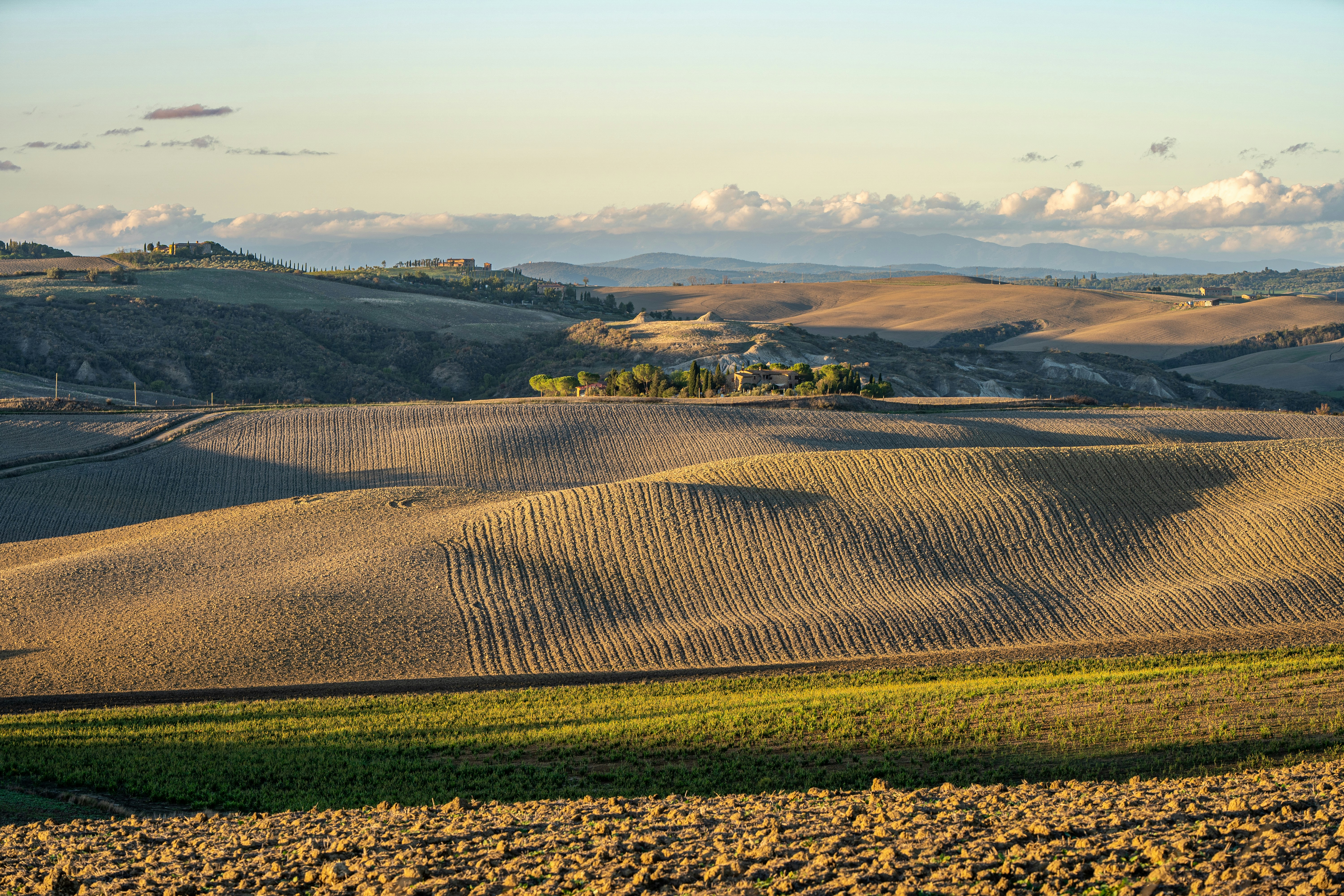Tuscan landscape around San Quirico d'Orcia in the fall/autumn, the ploughed hills looking like a crocheted blanket...
