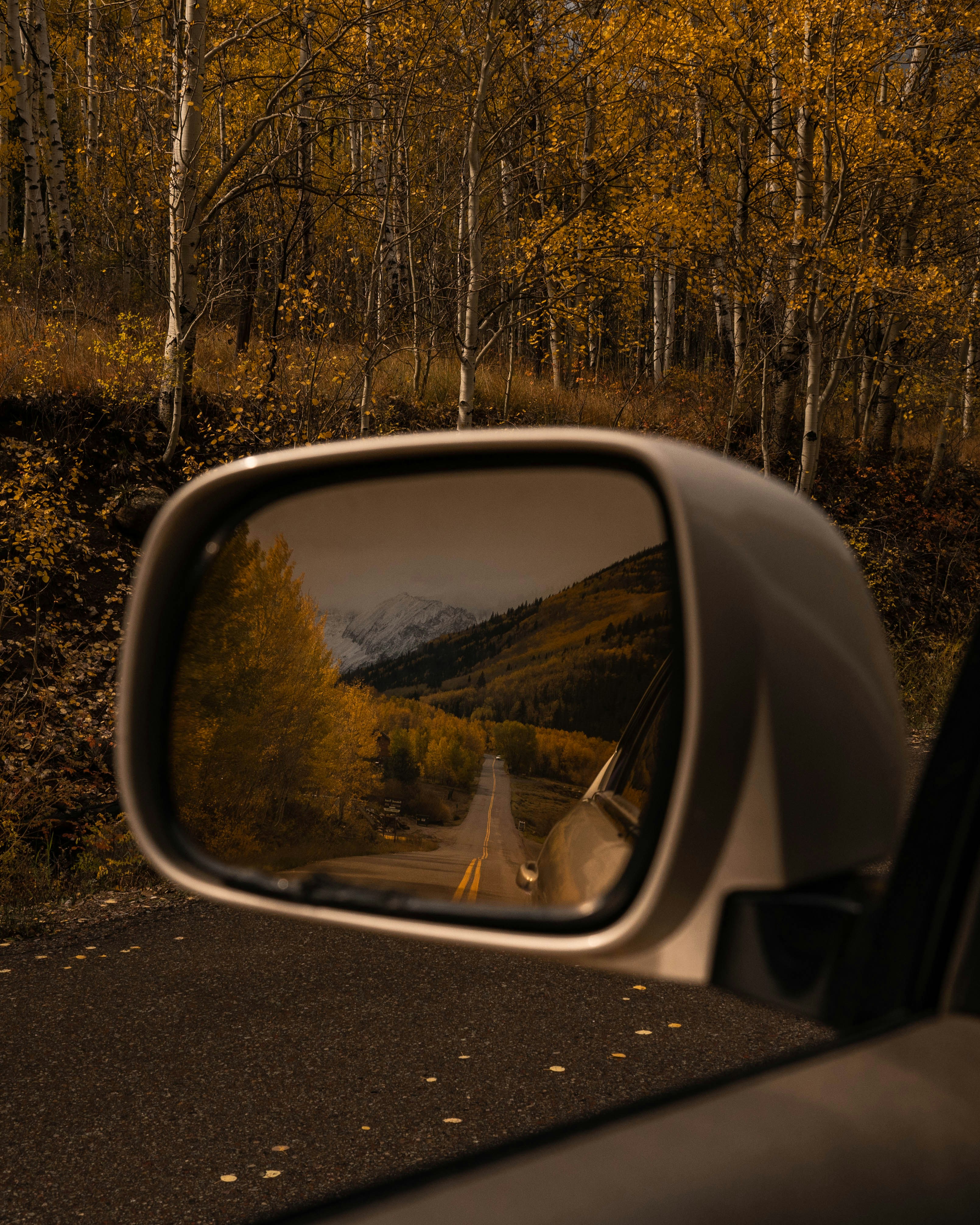 Autumn Road Reflections in the Car's Side Mirror