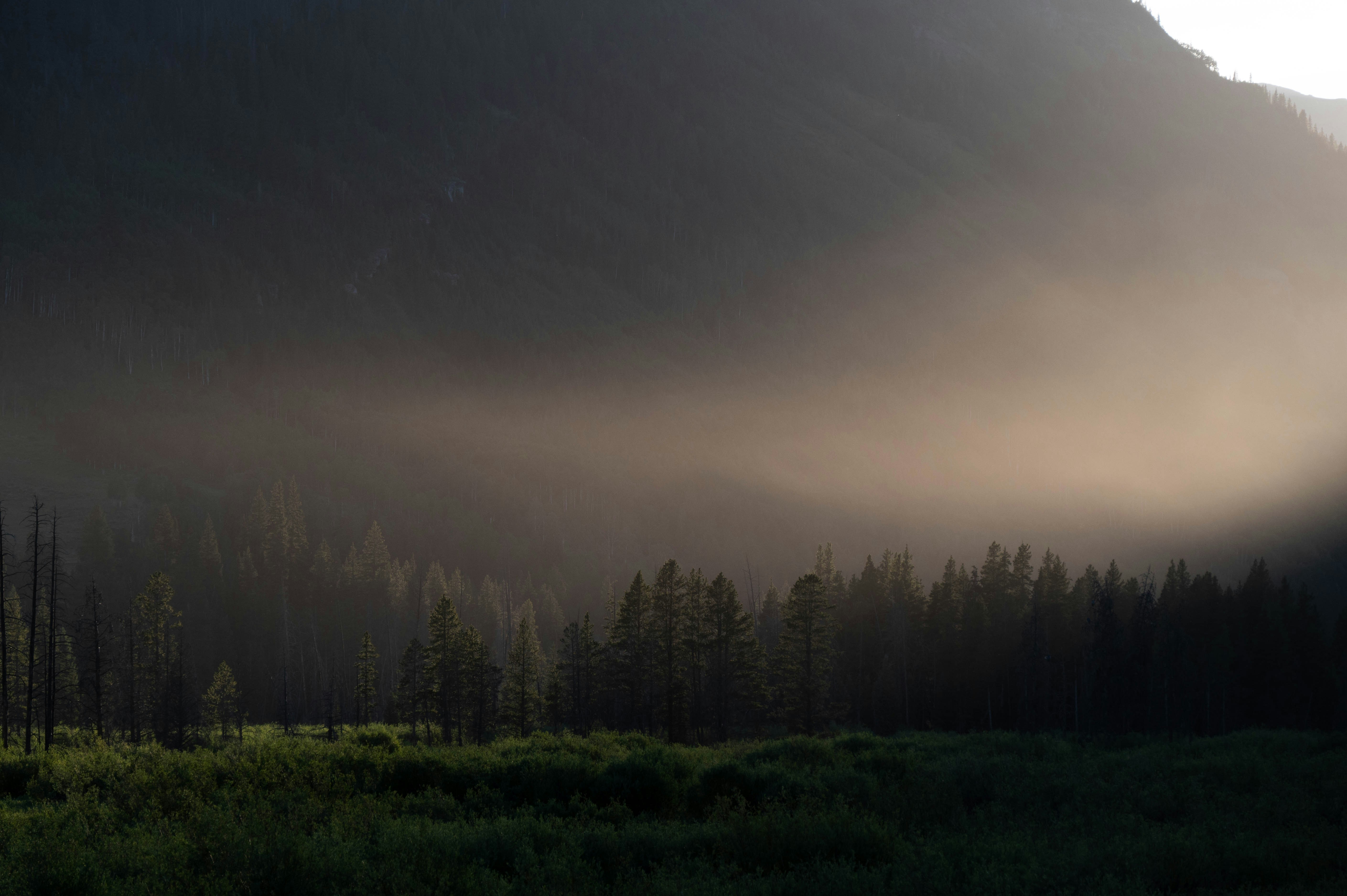 Dawn Veil Over a Quiet Valley