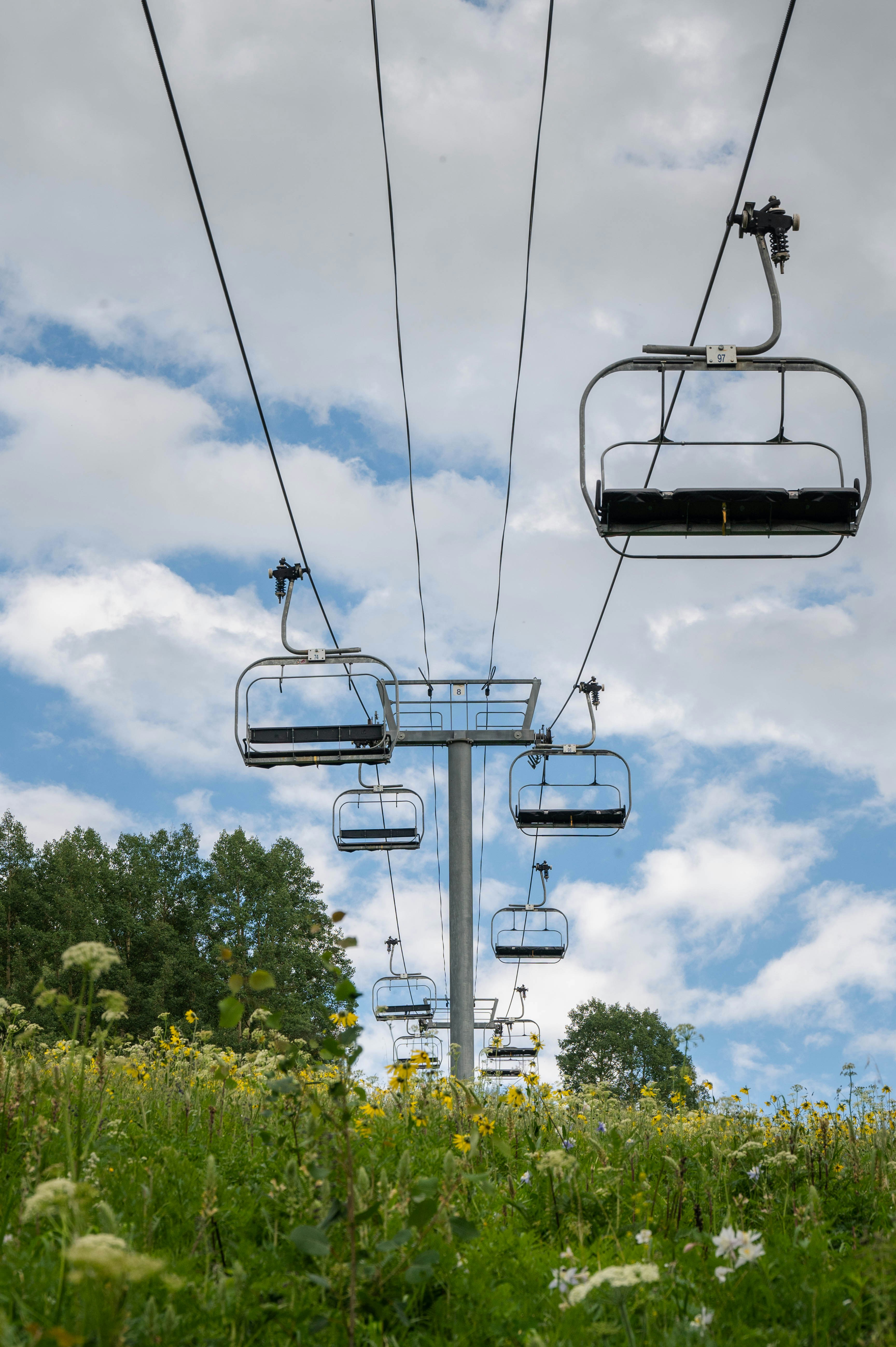 Cables in the Clouds: A Chairlift Corridor Through Wildflower Field