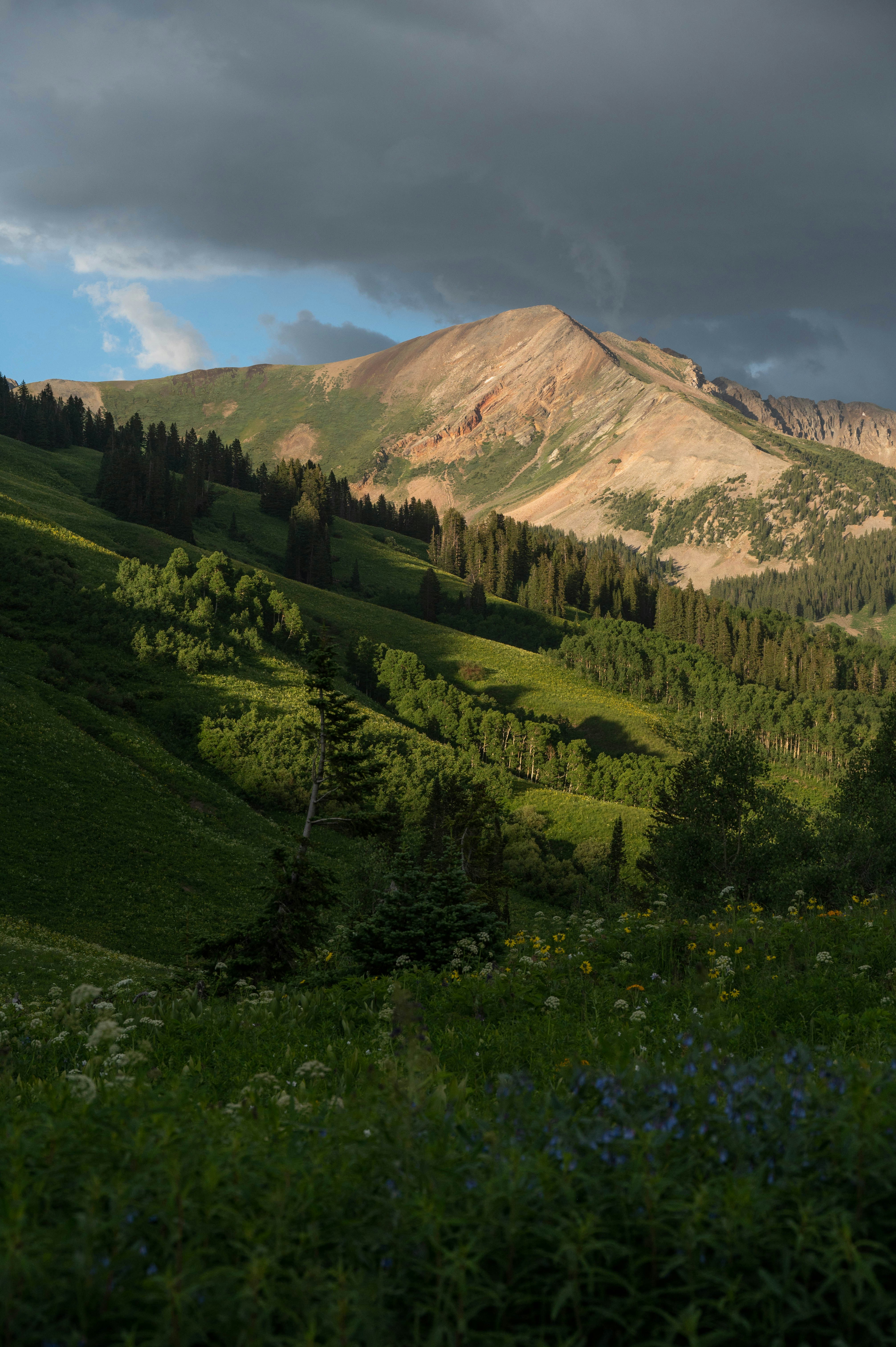 Sunlit Ridge: A Mountain Meadow in Quiet Dusk