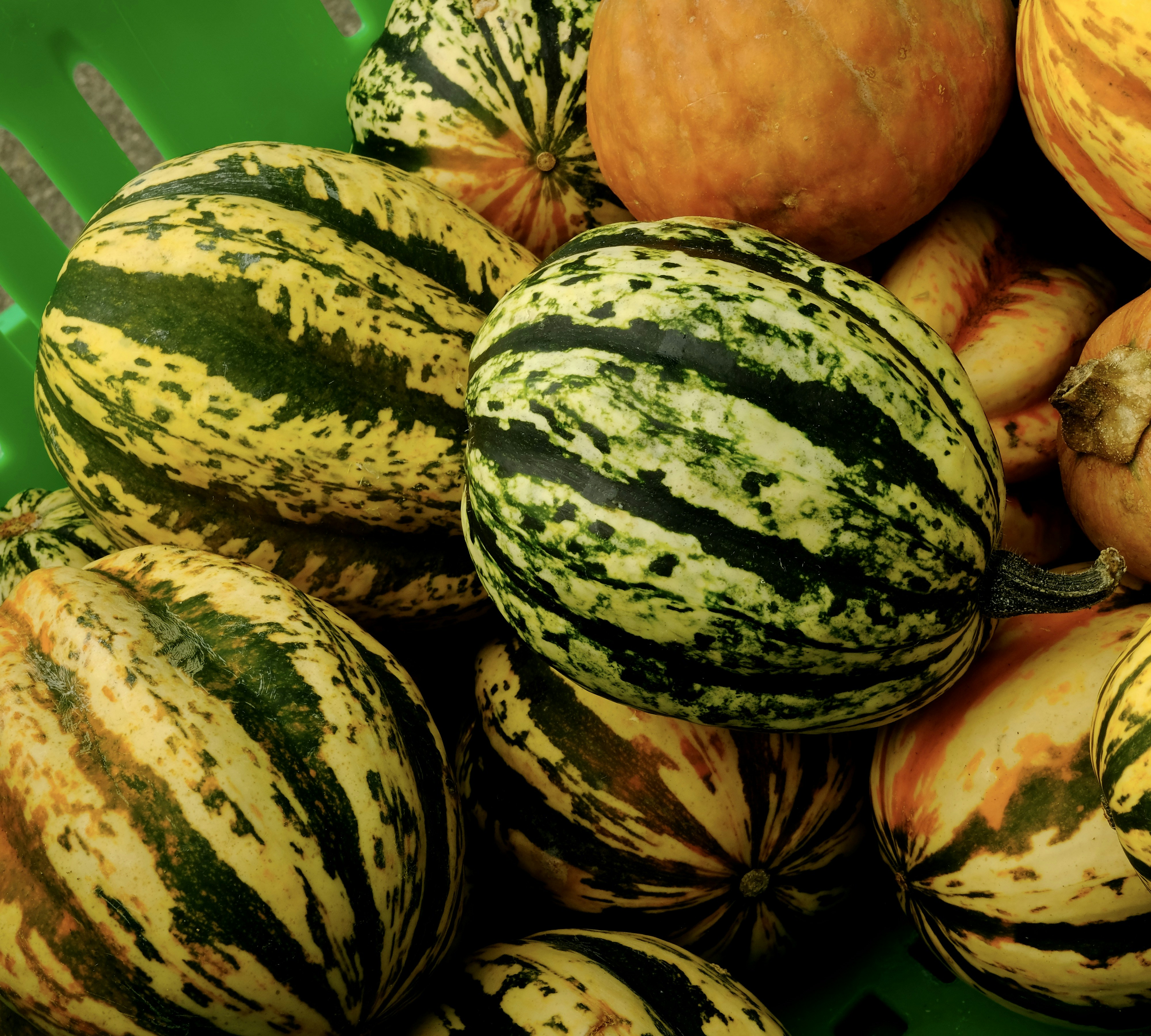 Foto Un grupo de sandías – Imagen EE.UU gratis en Unsplash