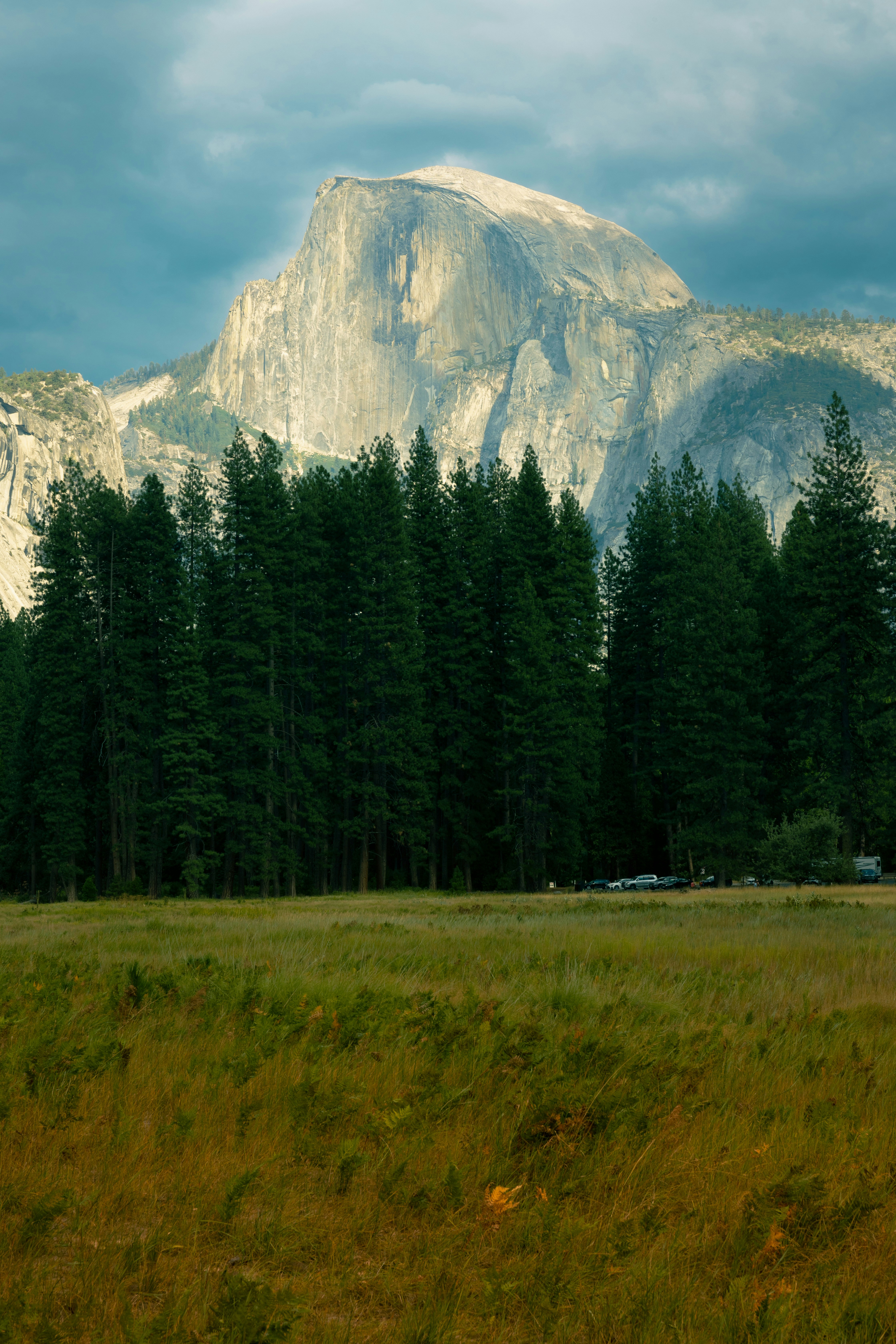 Monolithic Half Dome Looms Over a Pine Forest and Meadow