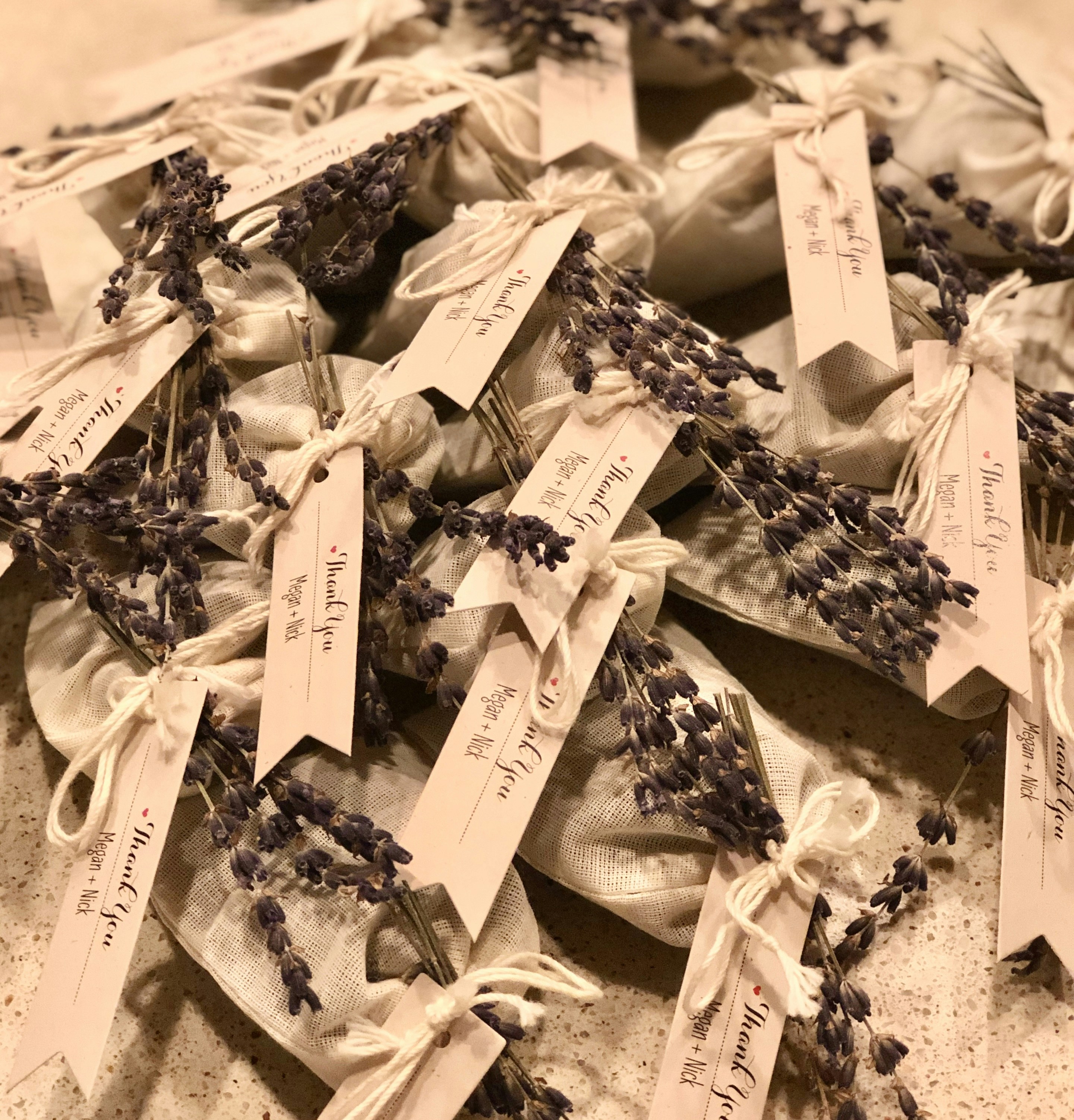 A pile of paper money photo – Free Lavender Image on Unsplash