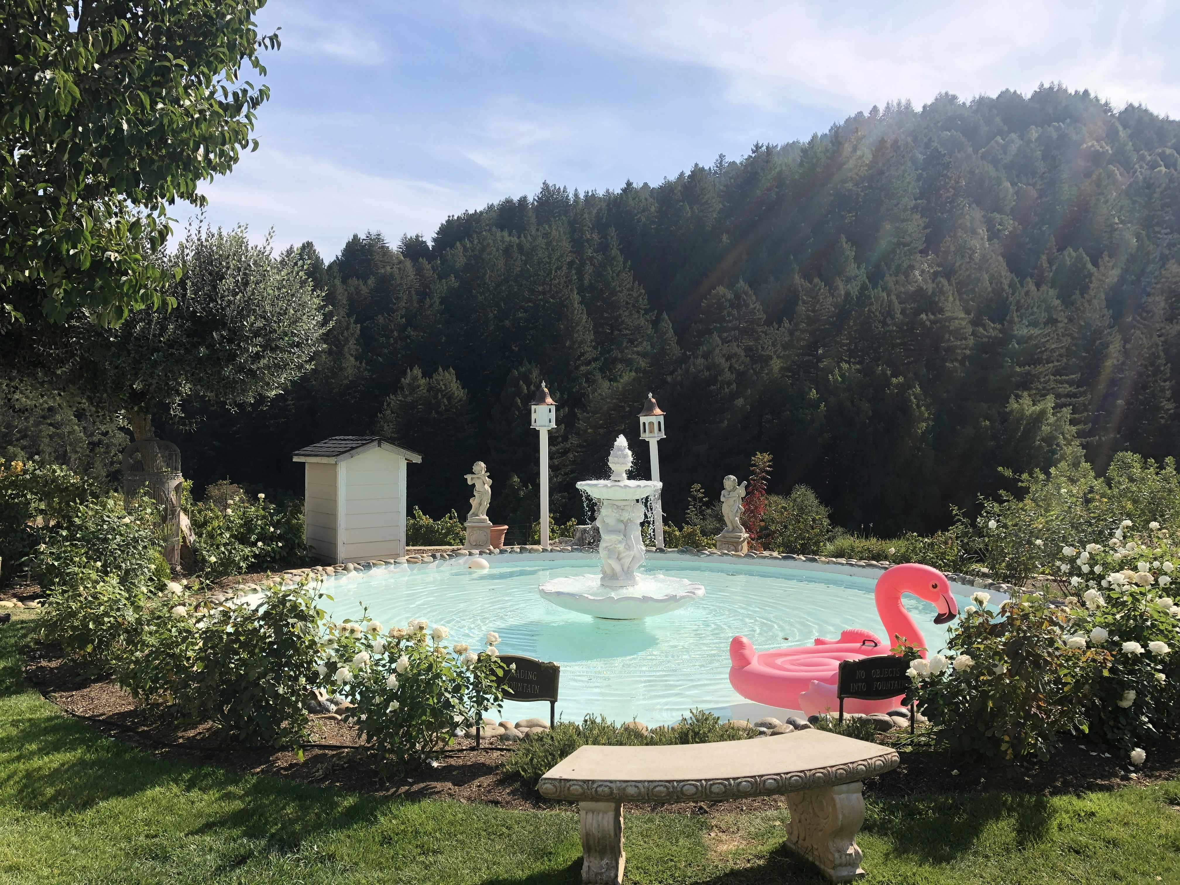 Fountain Keeps Company with a Pink Flamingo in a Garden Pool