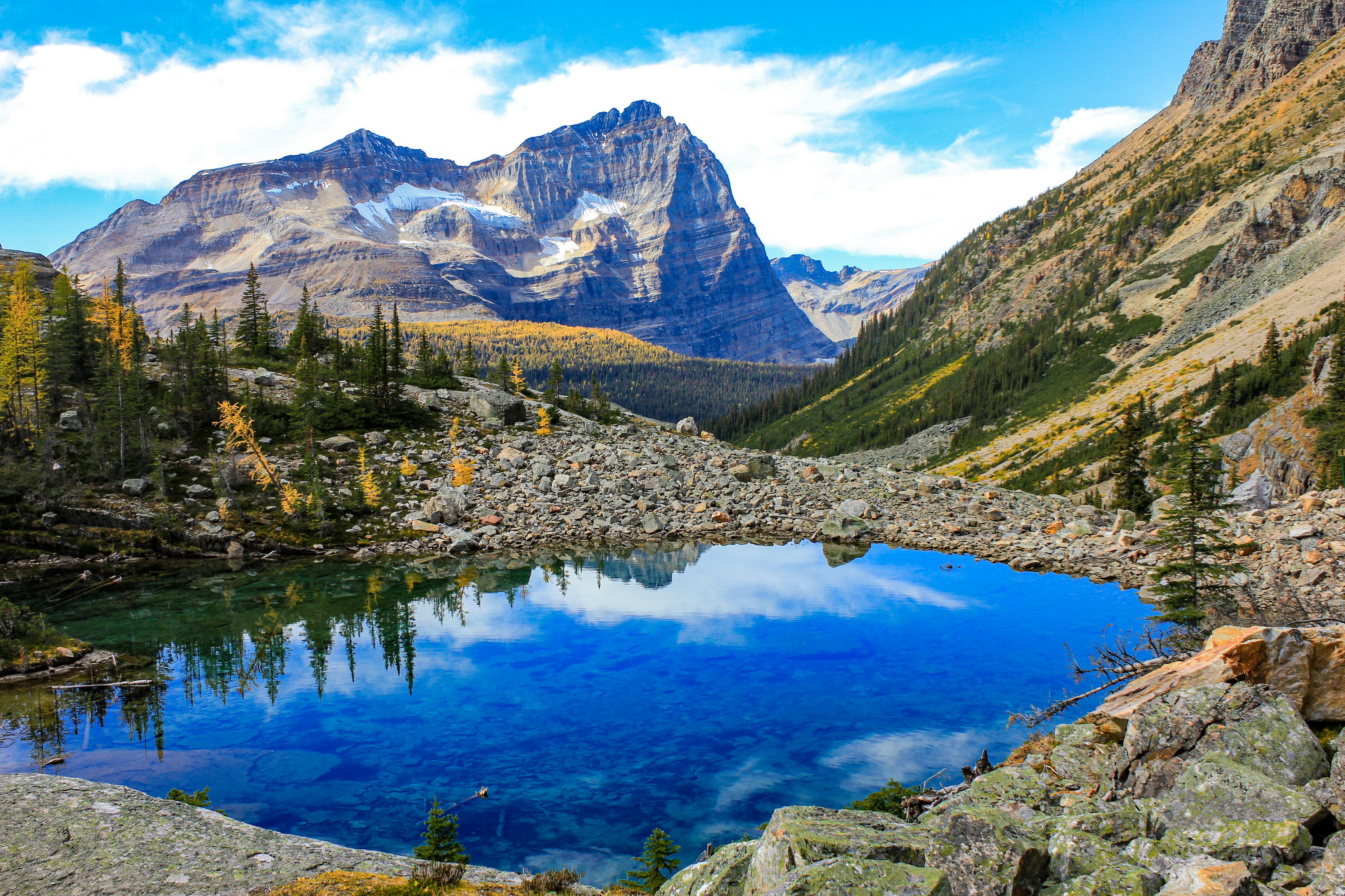 Photo by Courtney Pickens with Canon EOS 550D