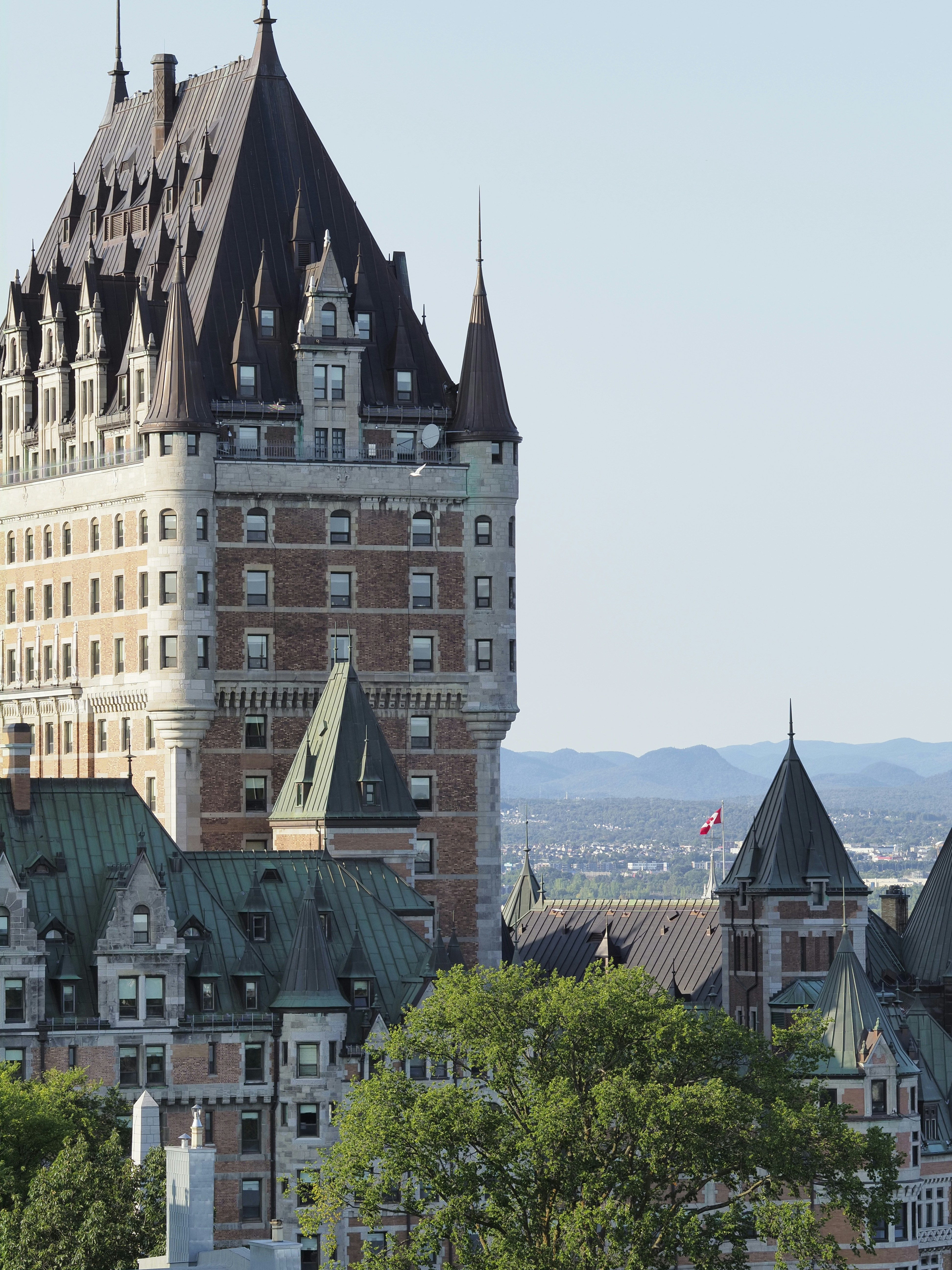 Turrets and Towers: A Grand Ottawa Hotel Framed by Trees