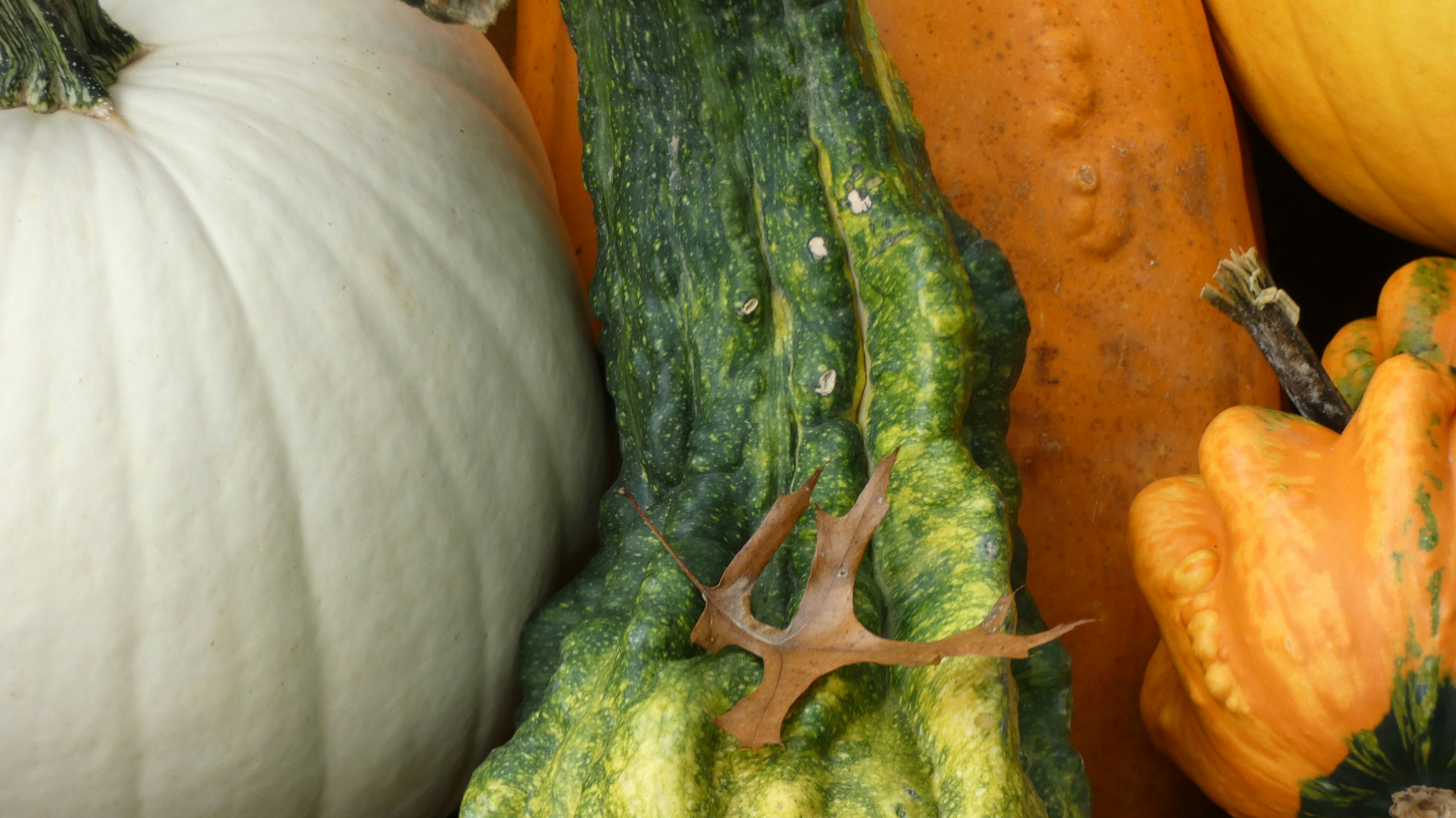 Sample photo from Panasonic Lumix FZ80