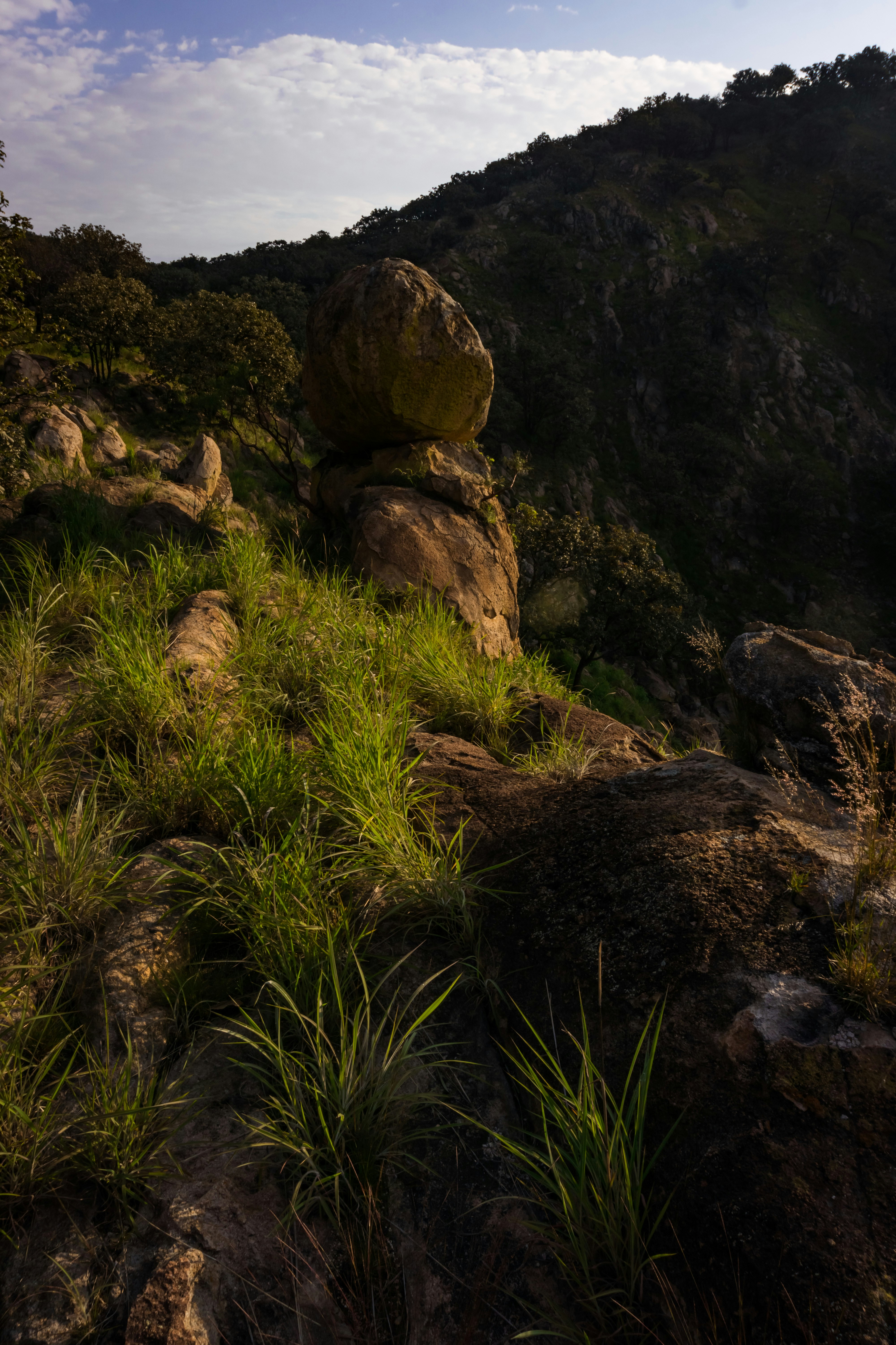 Balanced Sentinel on a Sunlit Ridge: A Stone Stack Among Grass and Rock