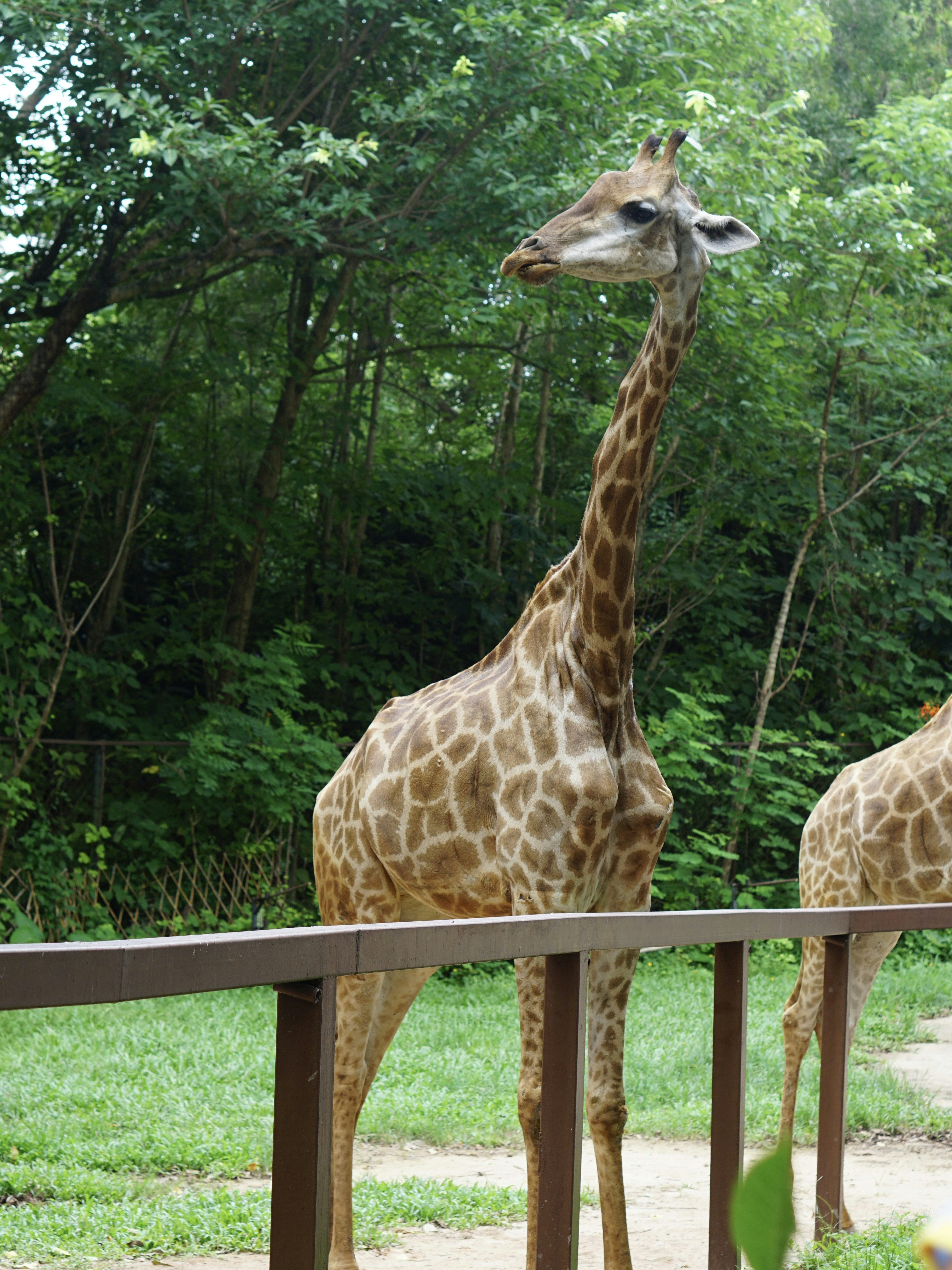 Photo by Ripple Qian with Sony Alpha 6000