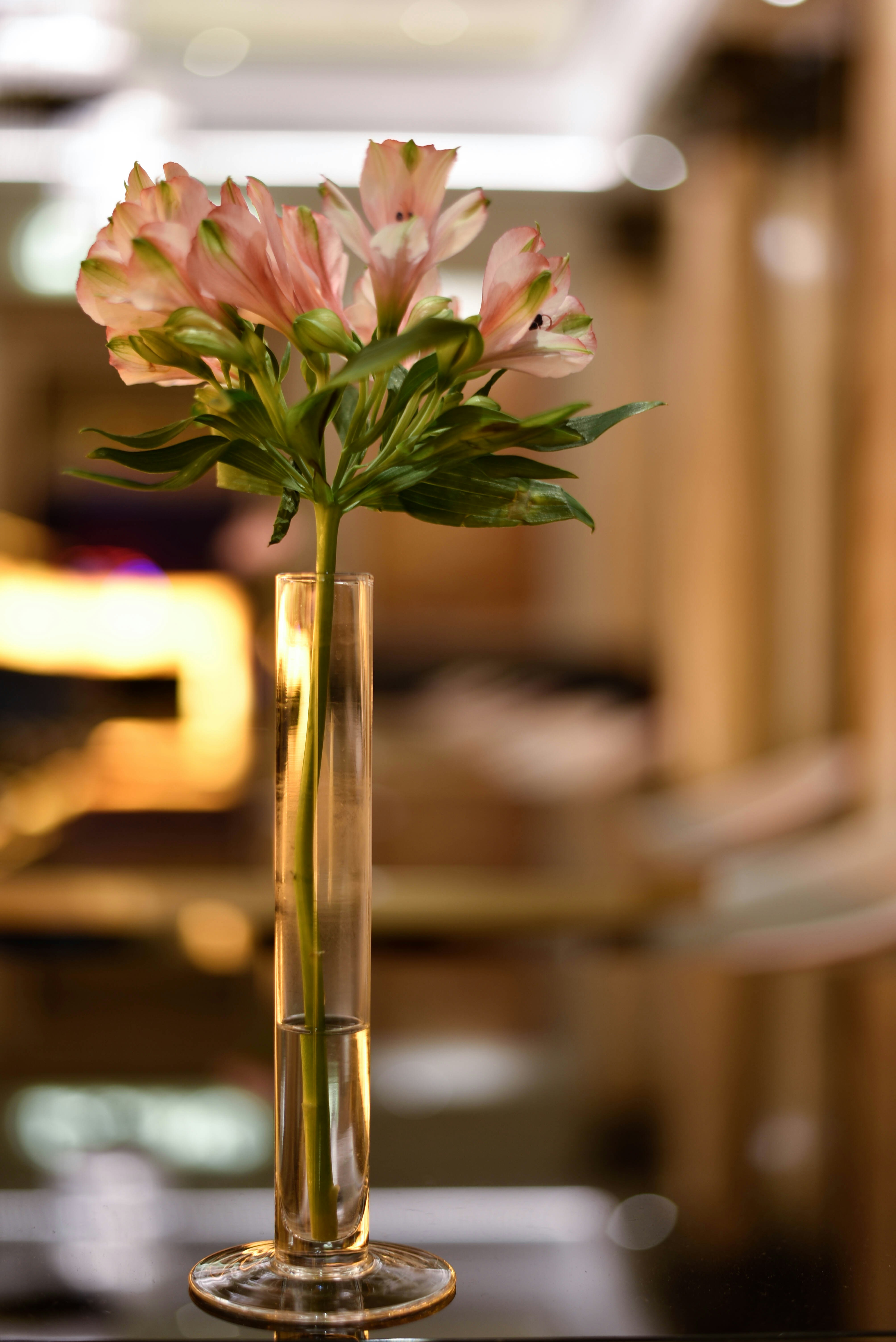 Petals in Glass: Pink Alstroemeria Centerpiece Under Warm Café Glow