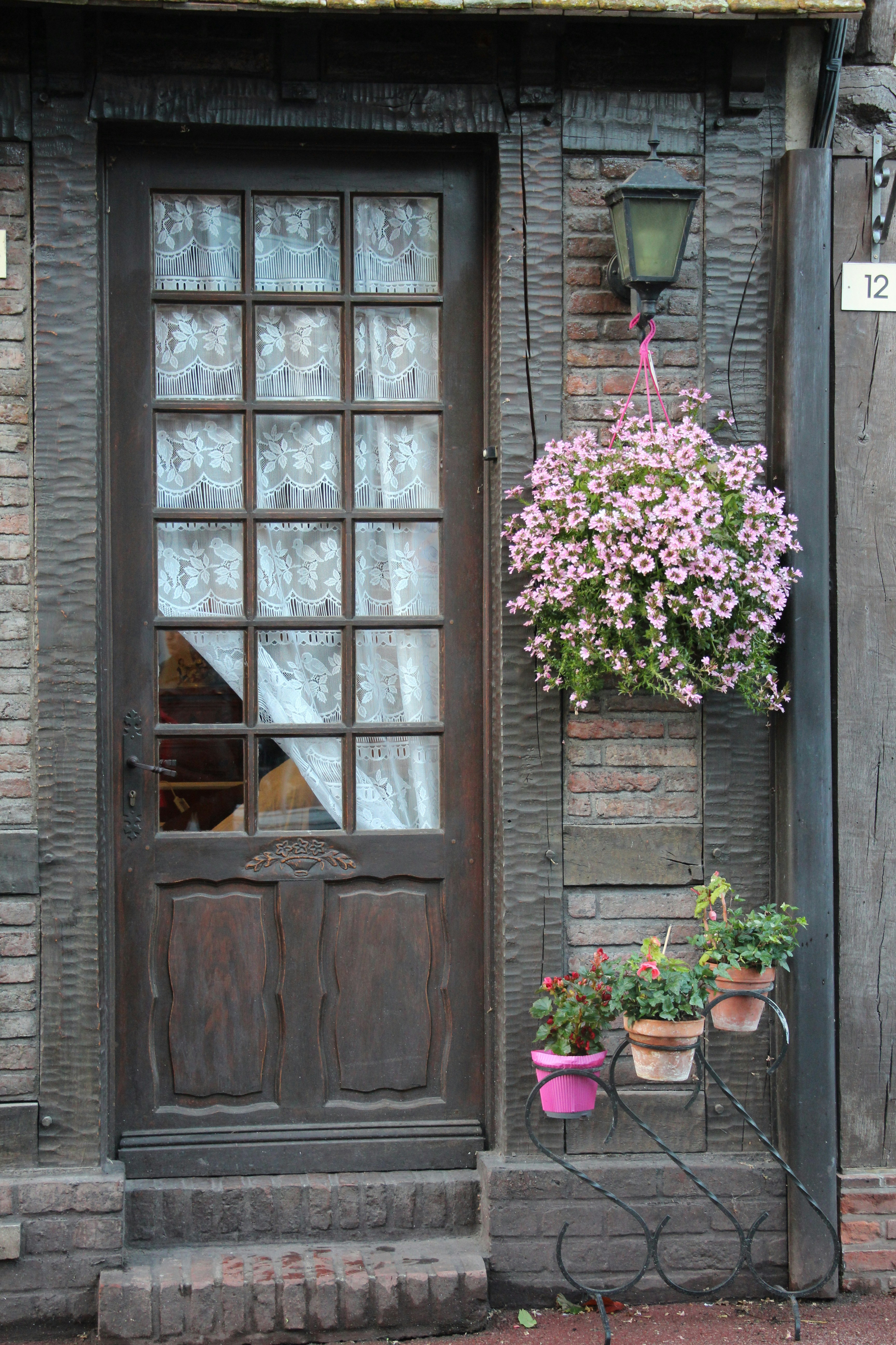 Doorway in Bloom: Lace Glass, Brick Facade, and a Pink Petal Cascade