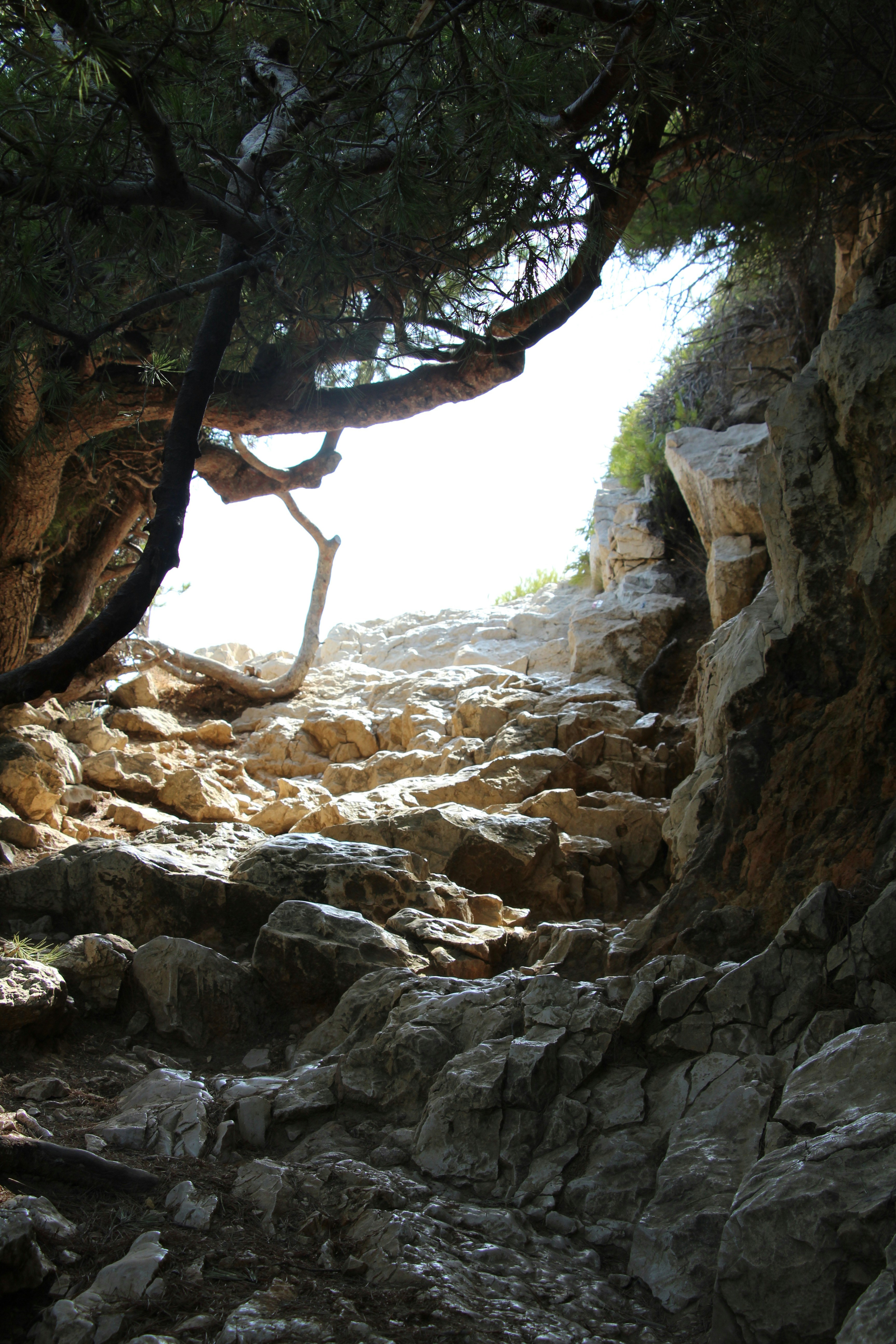 Sunlit Ascent Through a Rugged Rock Corridor