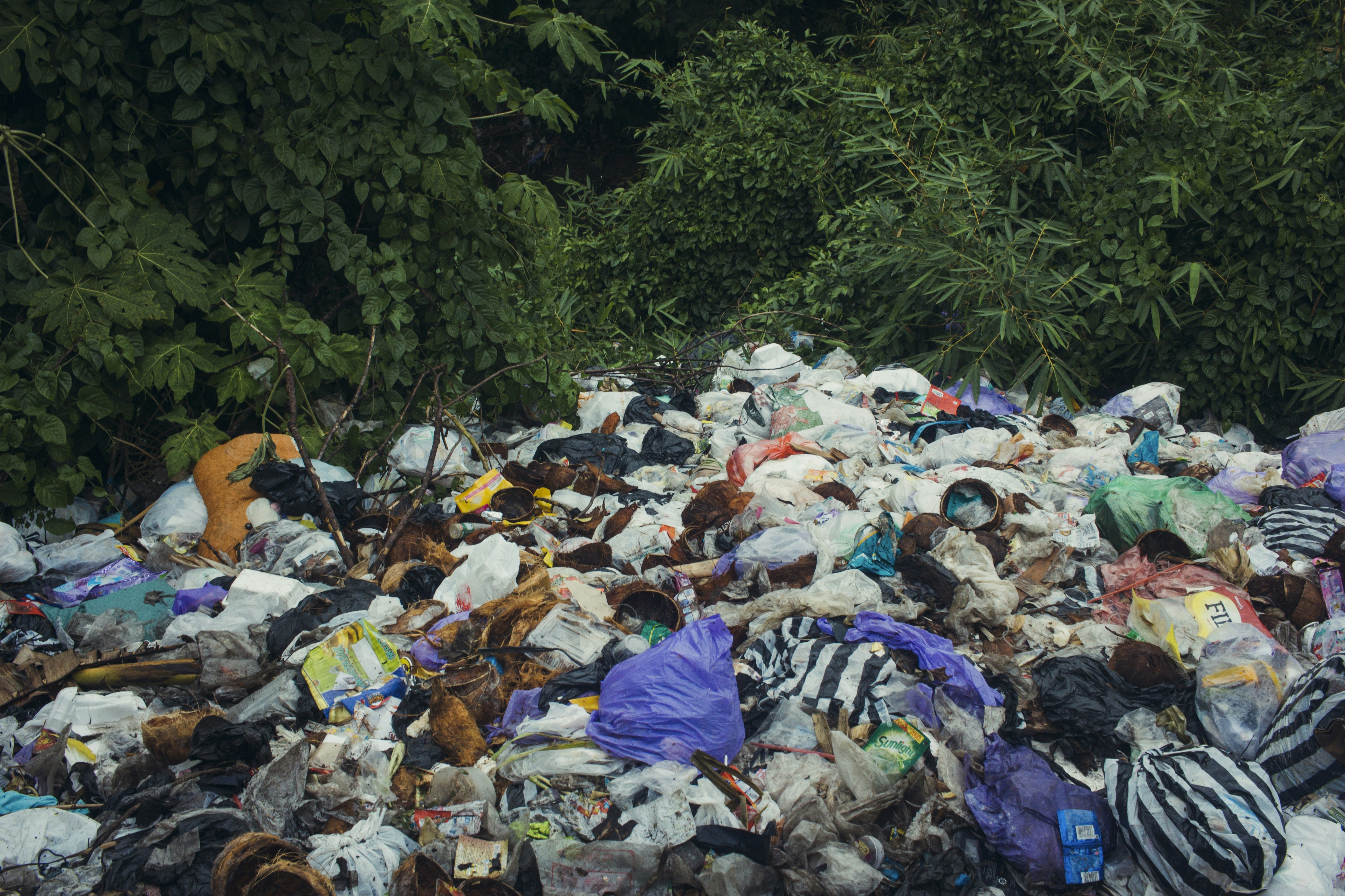 A pile of trash dumped near city forest | a large pile of trash