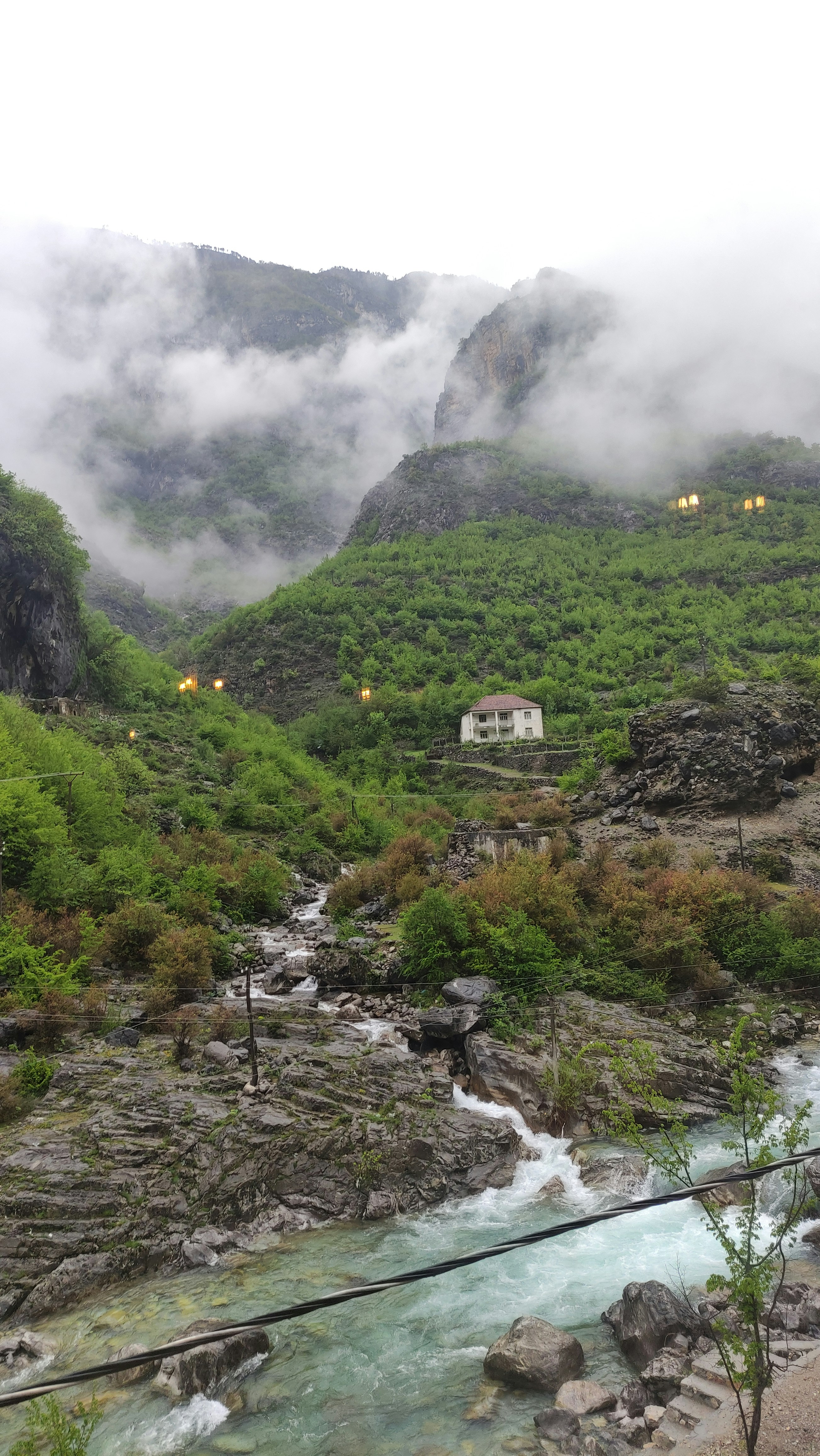 Mist over the Verdant Gorge