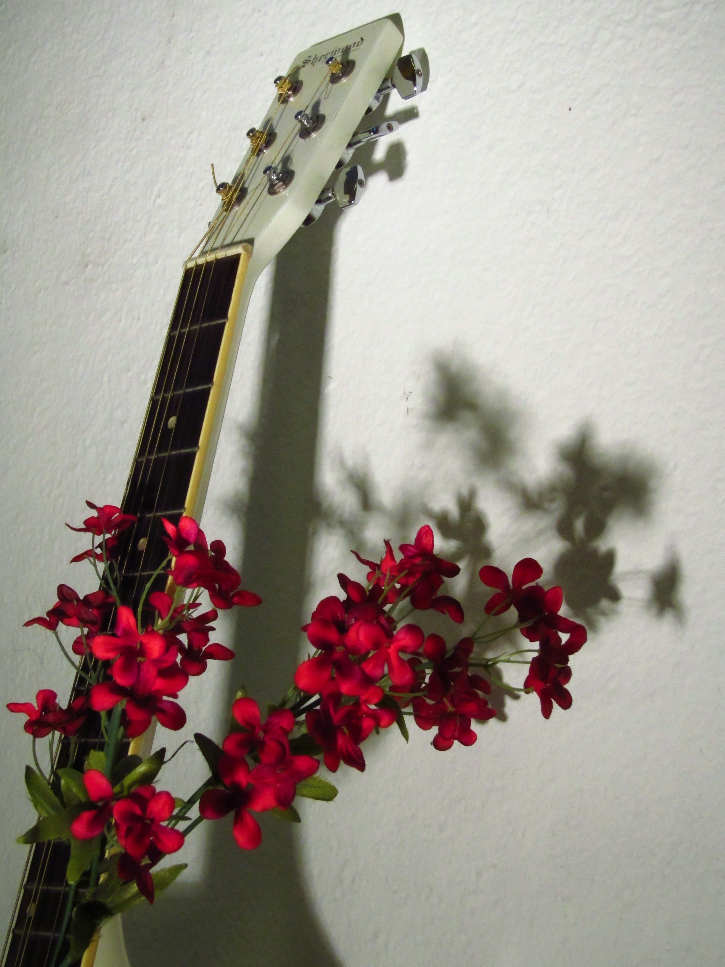 Sample photo from Canon PowerShot SX430 IS