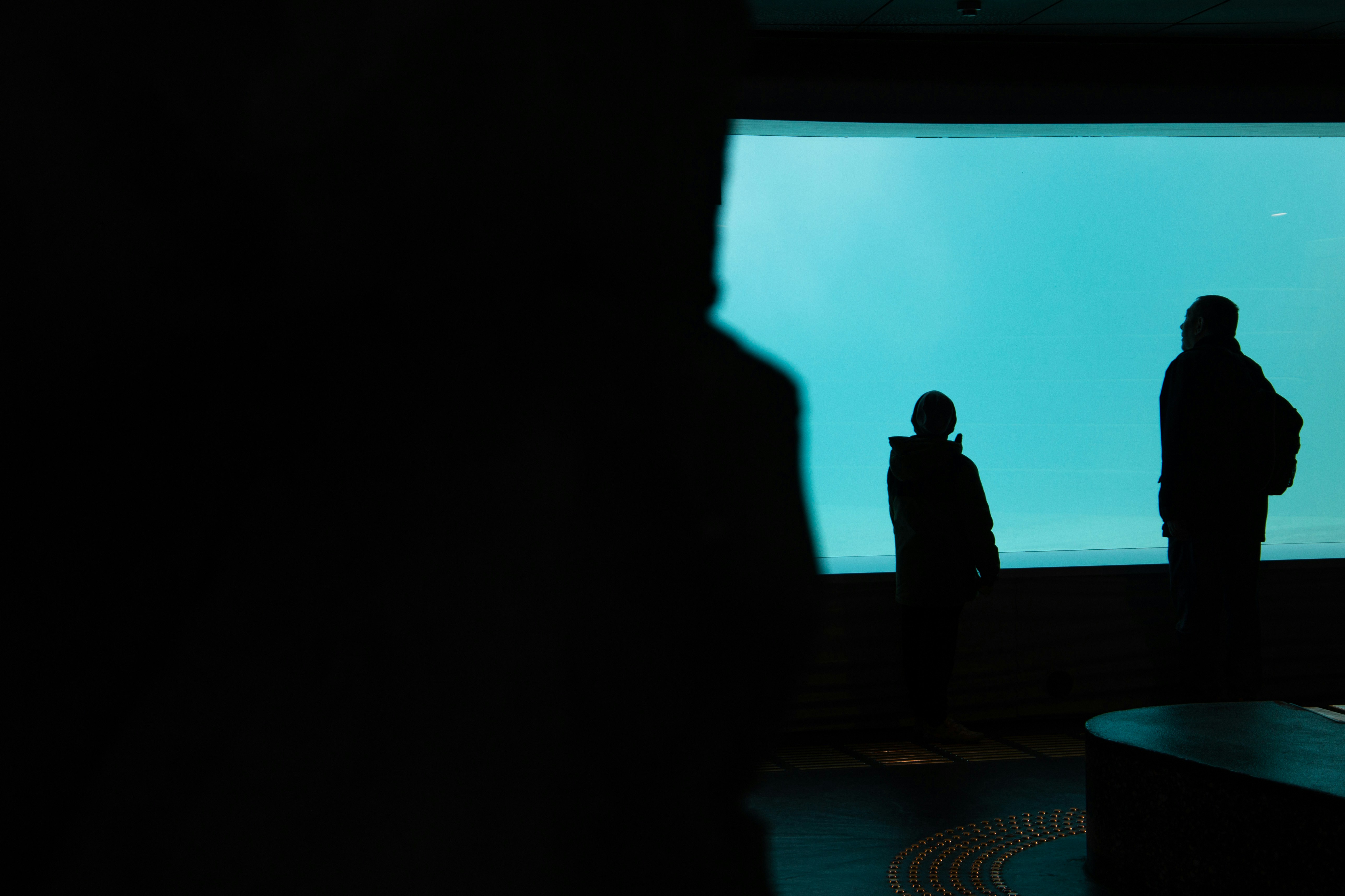 A couple of people looking at a large screen photo – Free Blue Image on ...