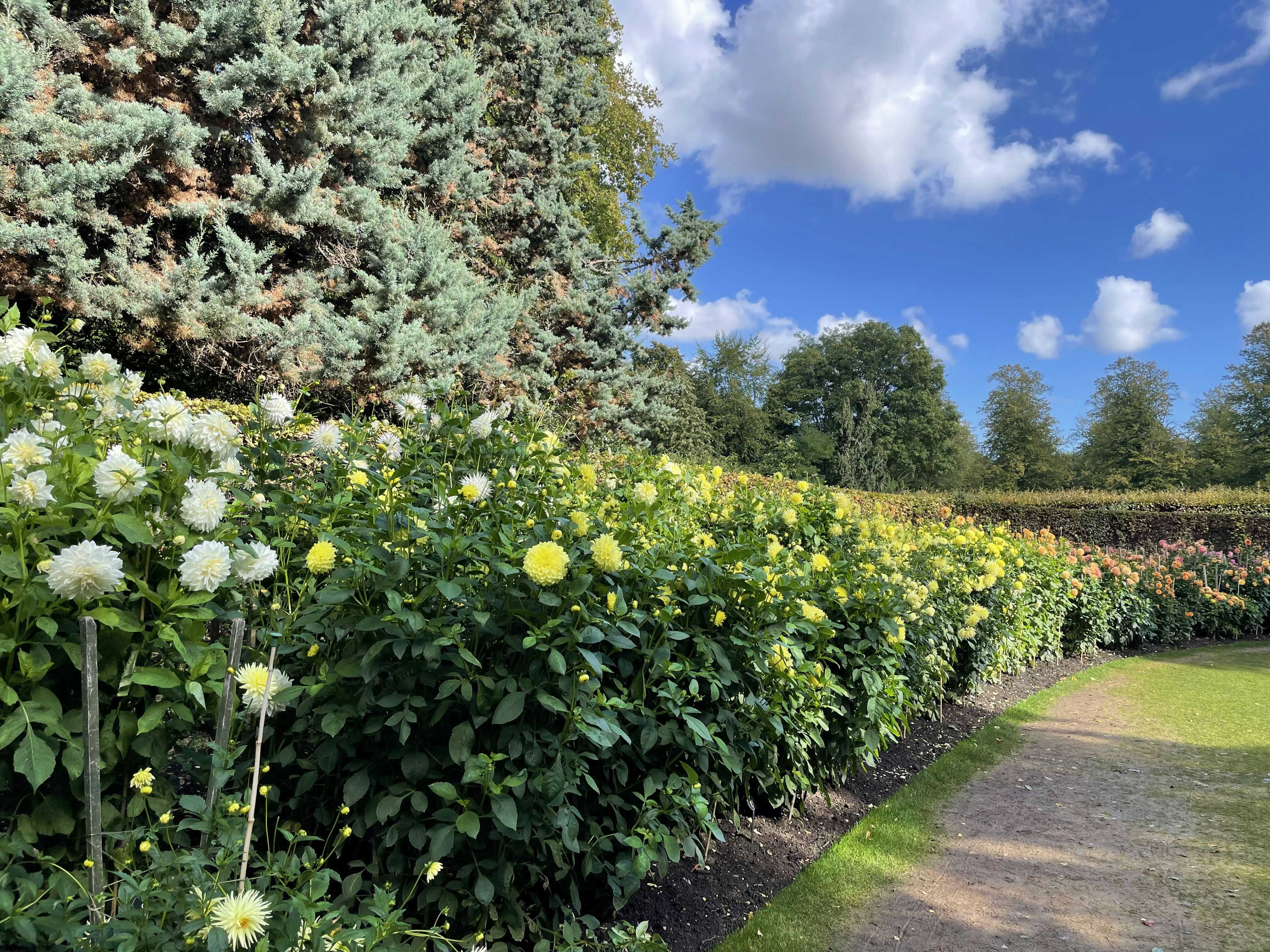 30k+ Lode Pictures | Download Free Images on Unsplash