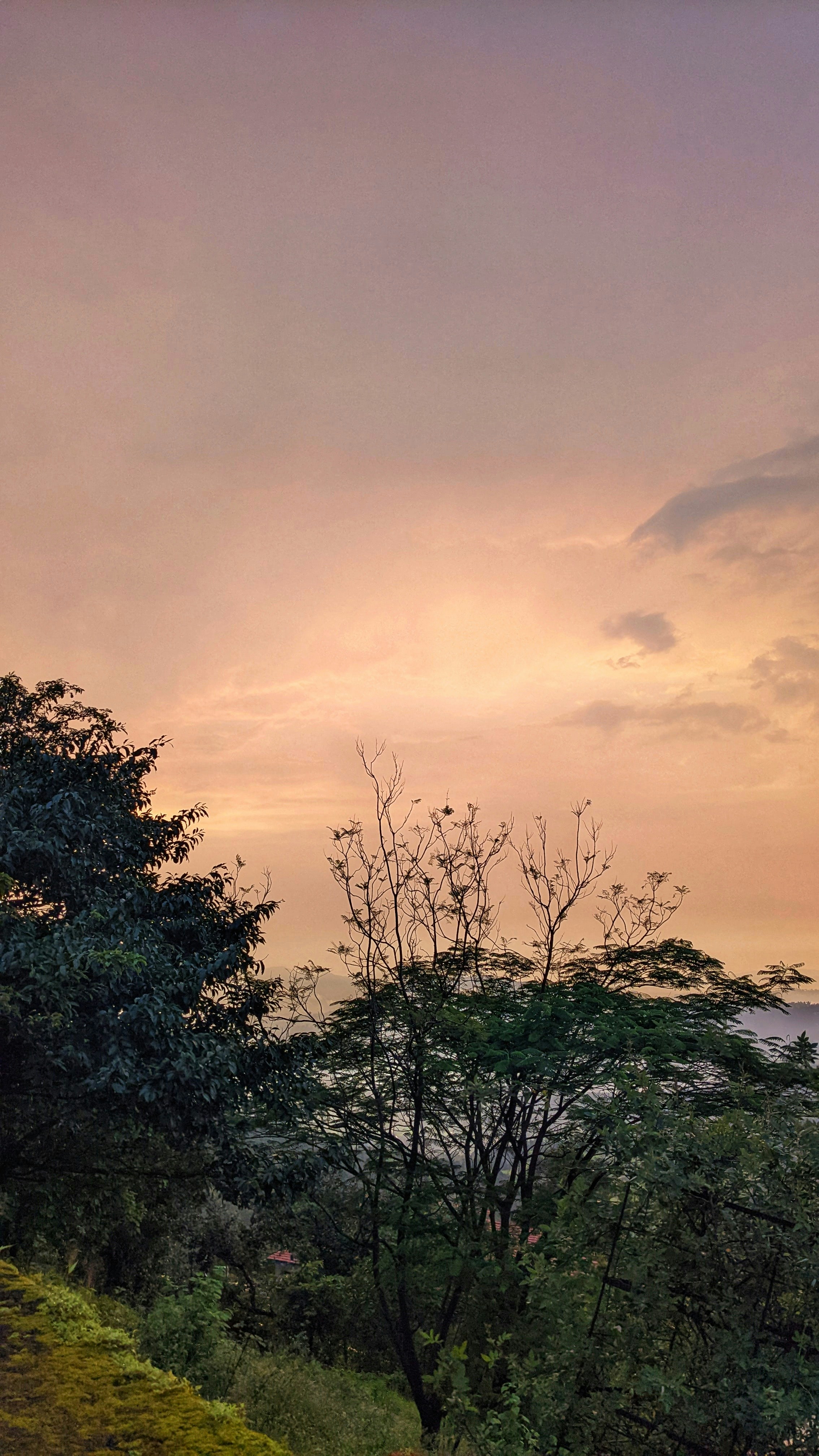 A sunset over a forest photo – Free Nature Image on Unsplash