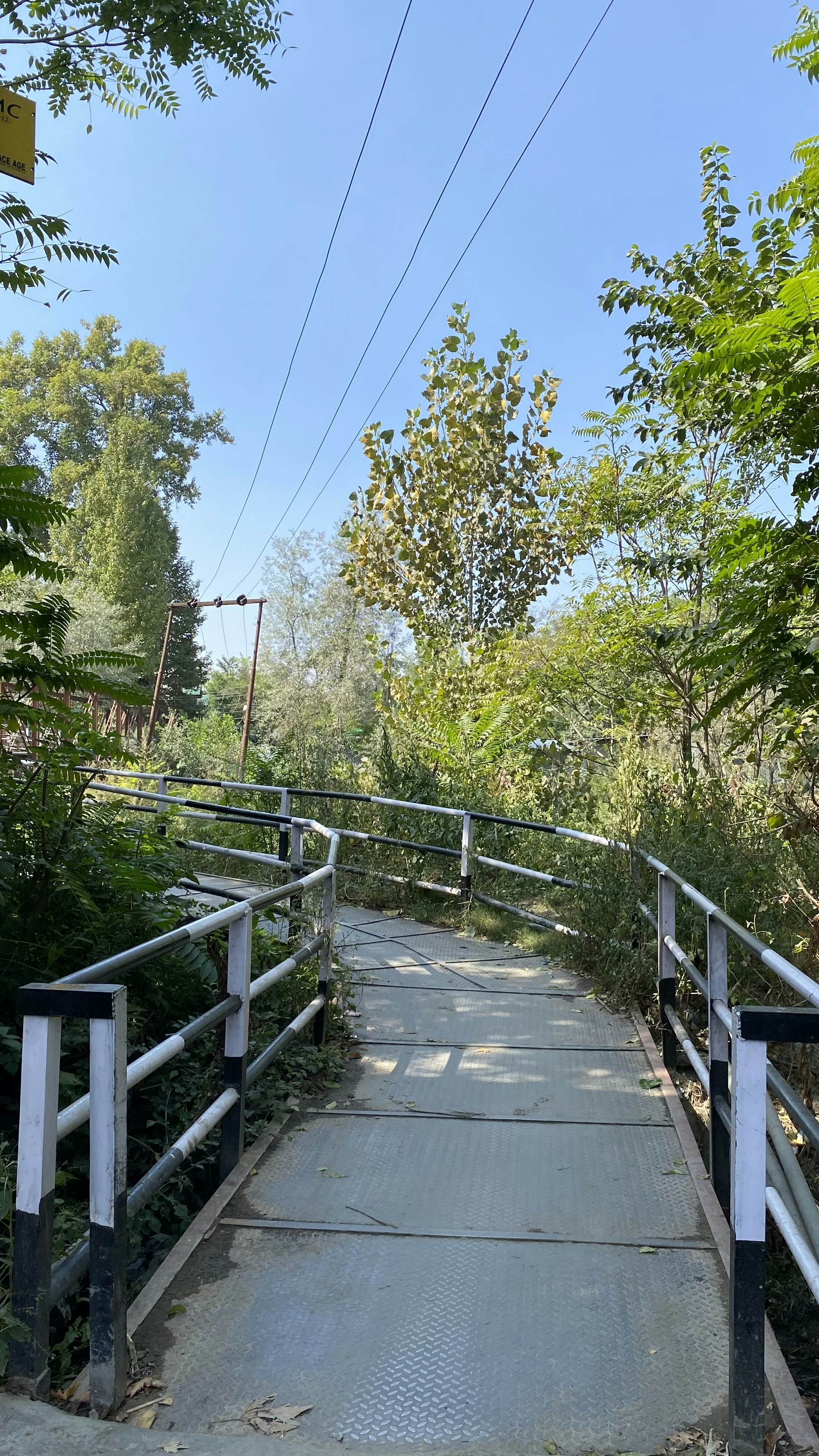 A bridge with a railing and trees photo – Free Image on Unsplash
