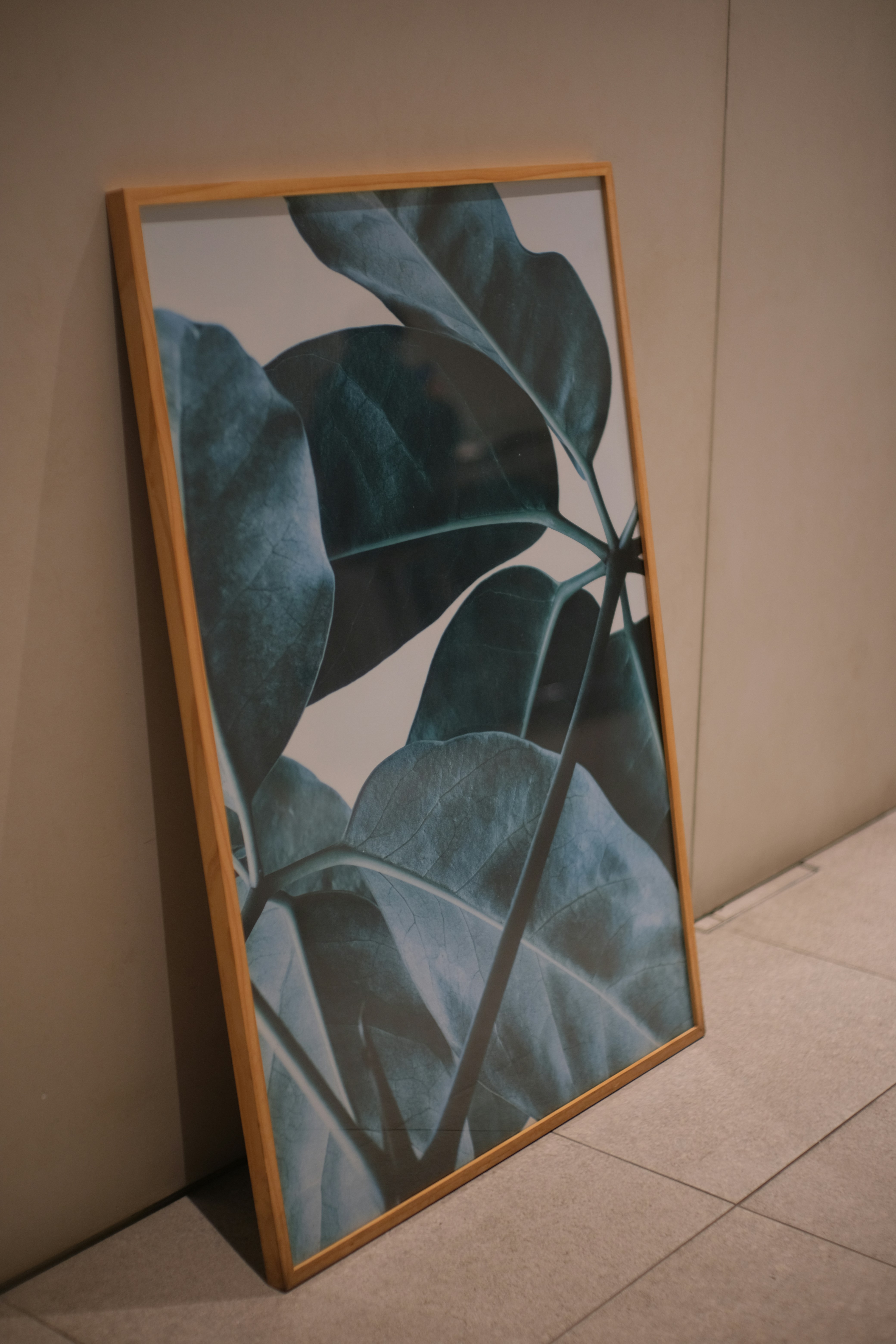 Framed Botanical Serenity Against a Minimalist Wall