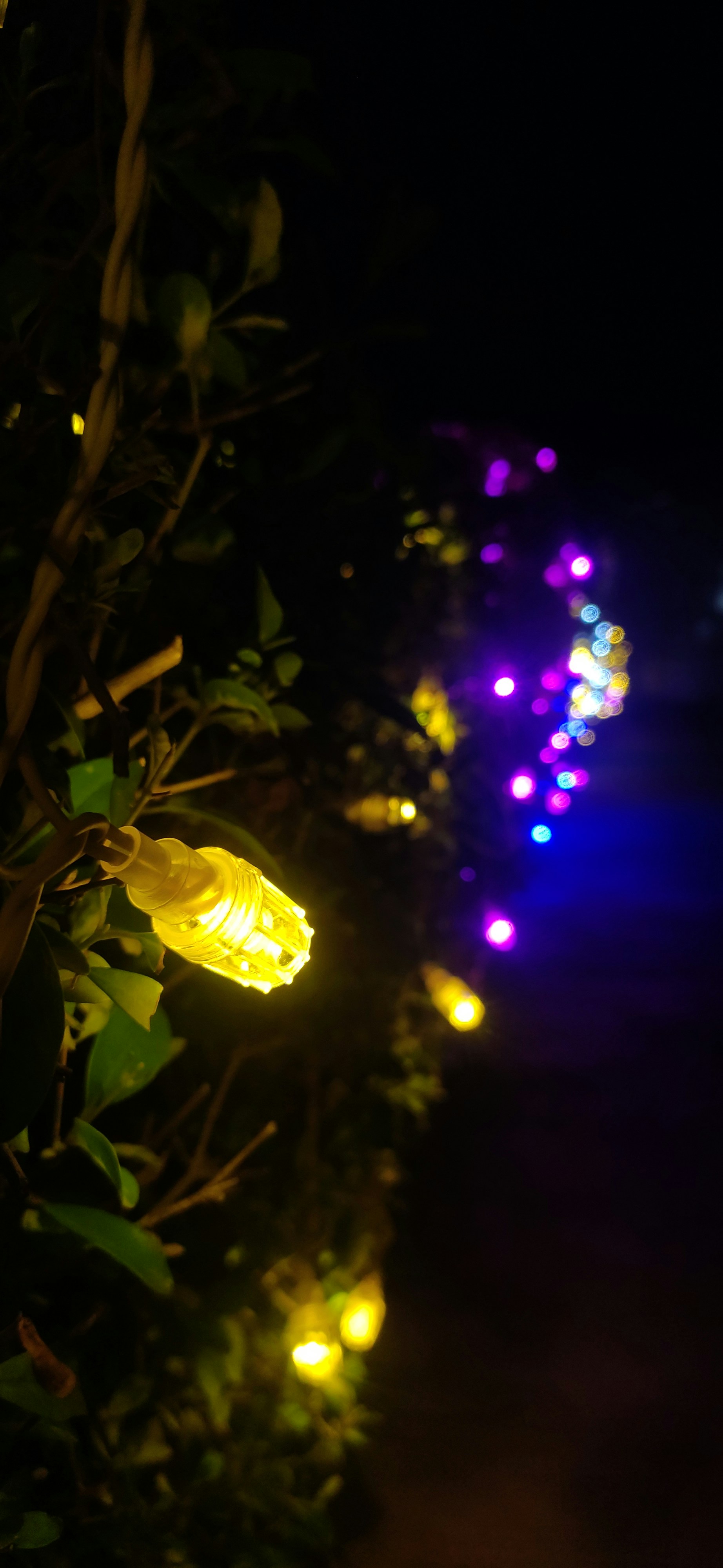 A group of lights photo – Free Nights Image on Unsplash